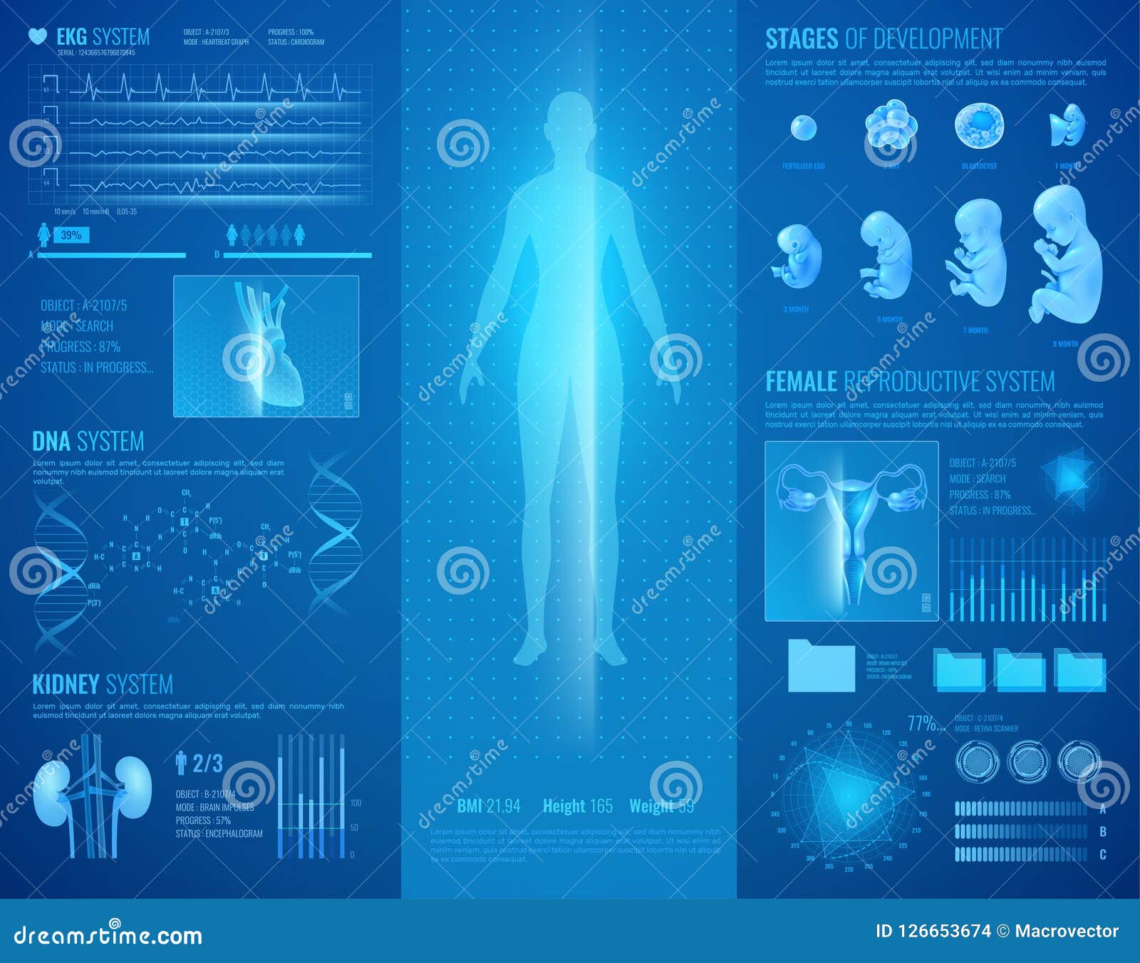 Medical Hud Interface stock vector. Illustration of kidney - 126653674