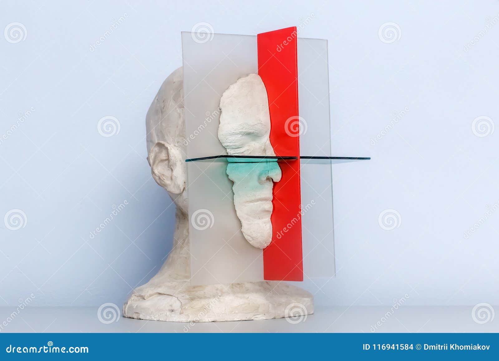 Medical Human Head Model with Four Sections Stock Photo - Image of ...