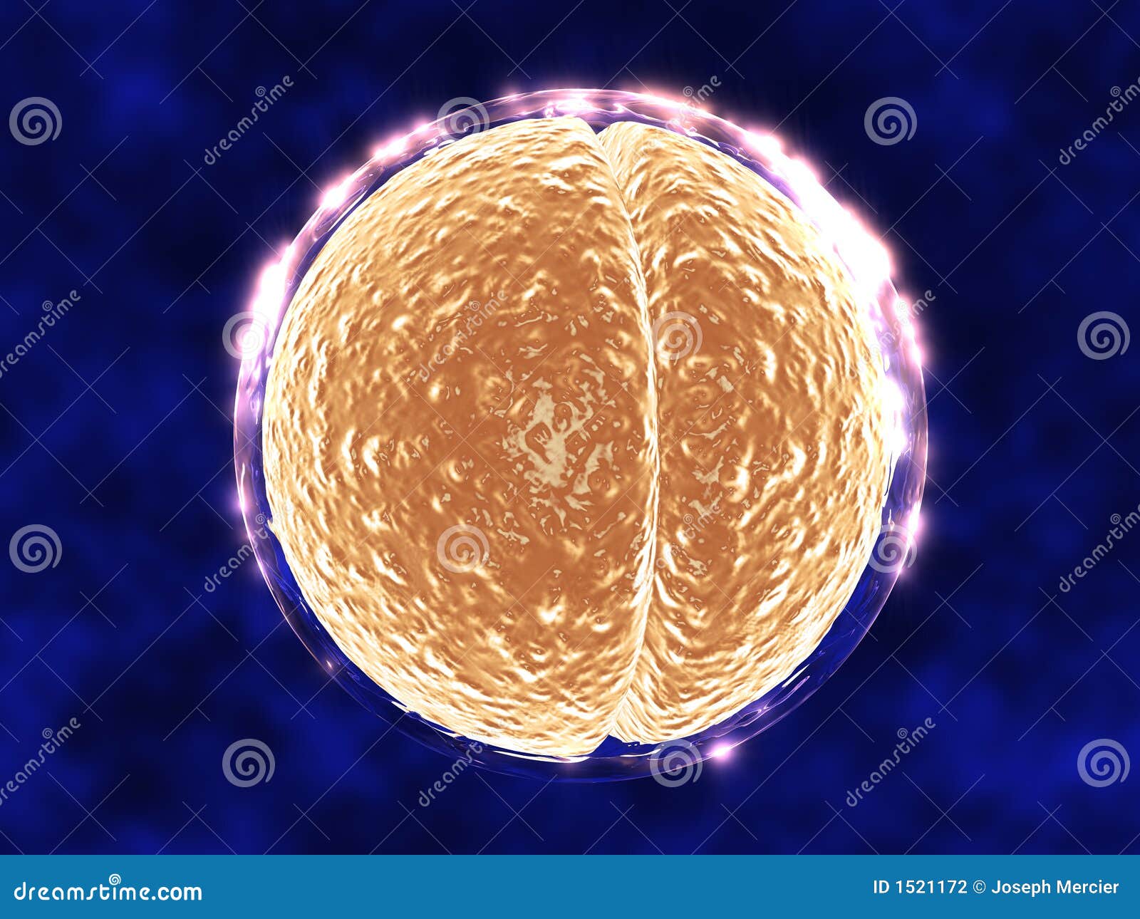 Medical Illustration Of Cell Dividing Royalty-Free Stock Image ...