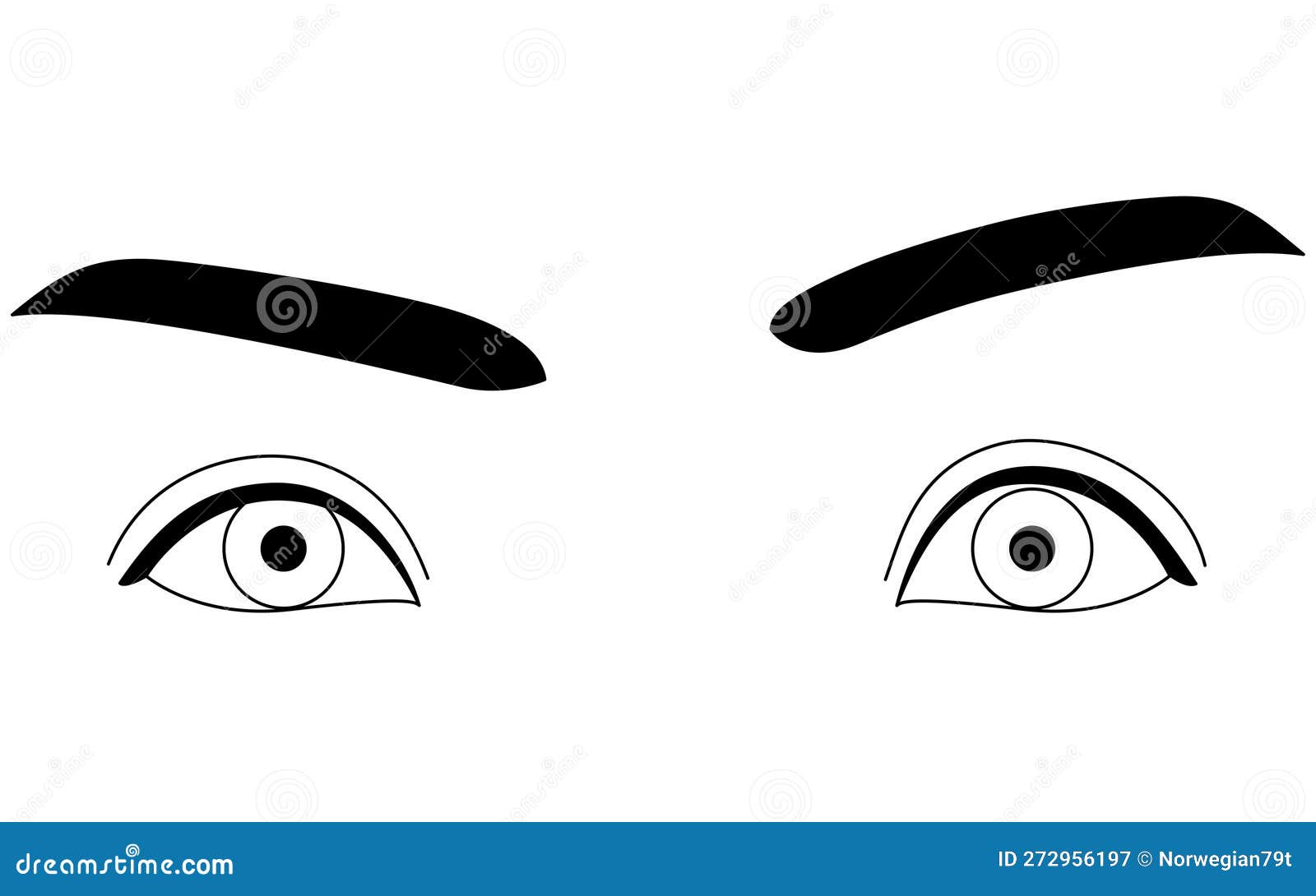 Medical Illustration: Diagram of Normal State of Ptosis (eyelid ...