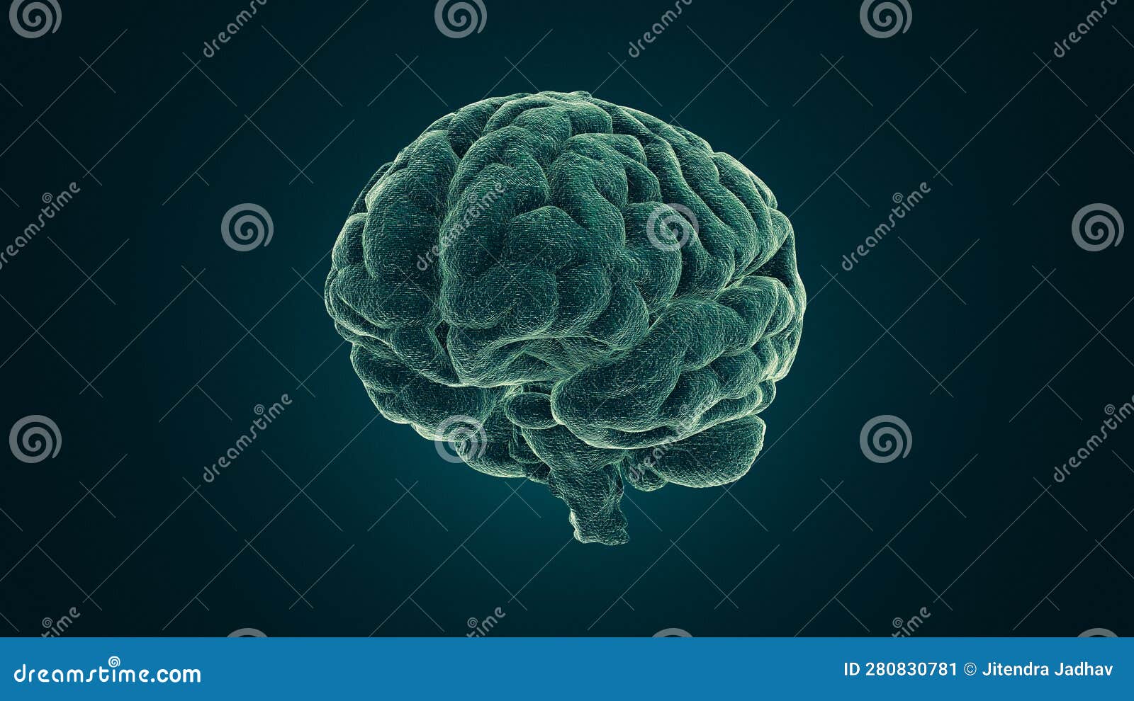 Medical Image of the Human Brain Stock Image - Image of idea, science ...