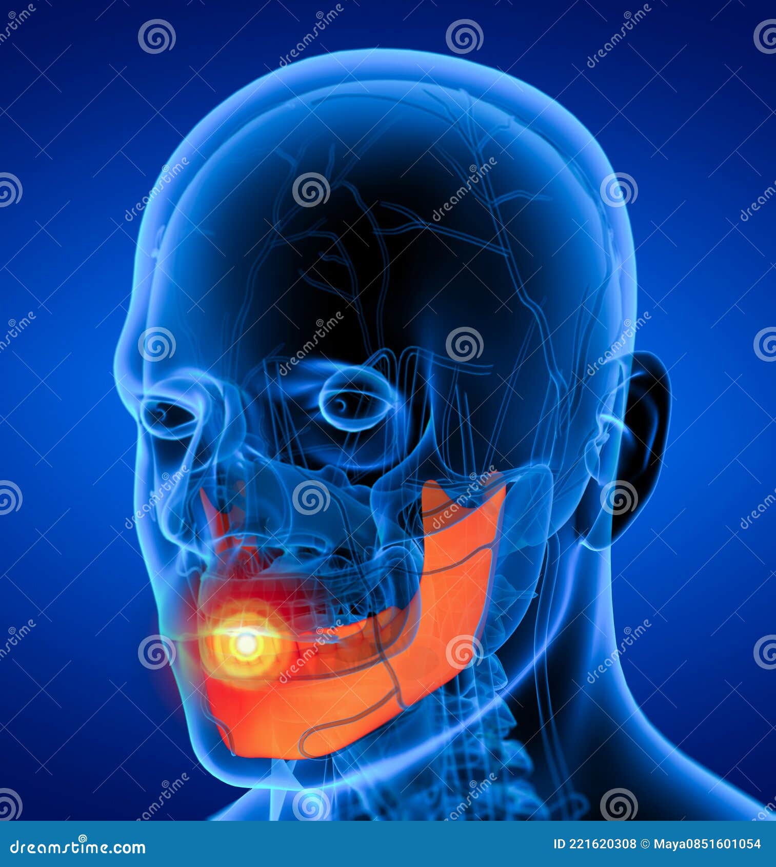 3D Rendering Illustration of Jaw Bone Stock Illustration - Illustration ...