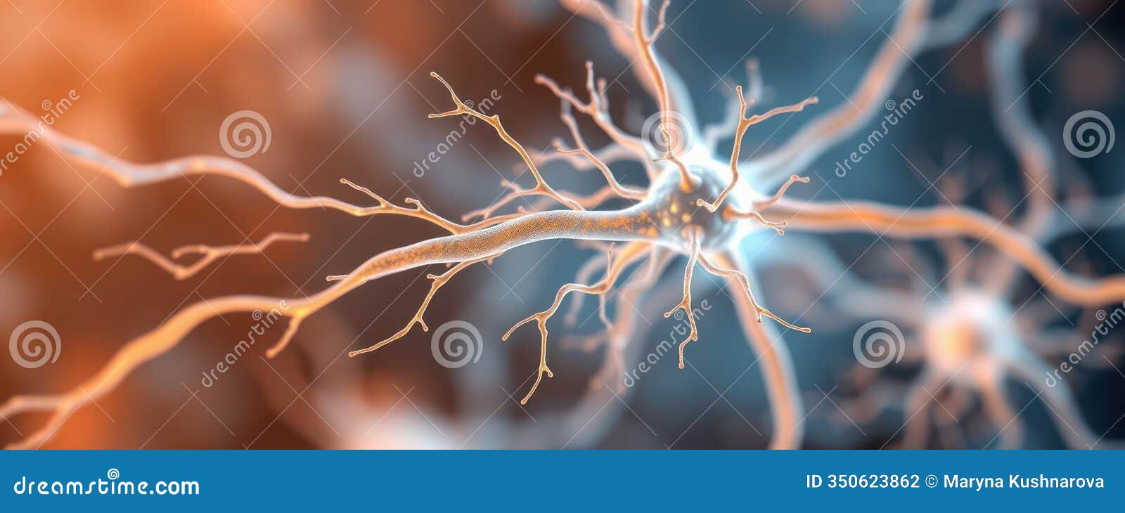 Medical Illustration Visualizes Multiple Sclerosis Immune Response ...