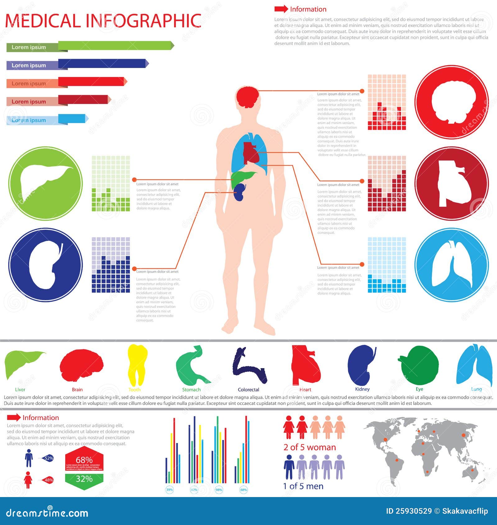 Medical info graphic stock vector. Illustration of bowel - 25930529