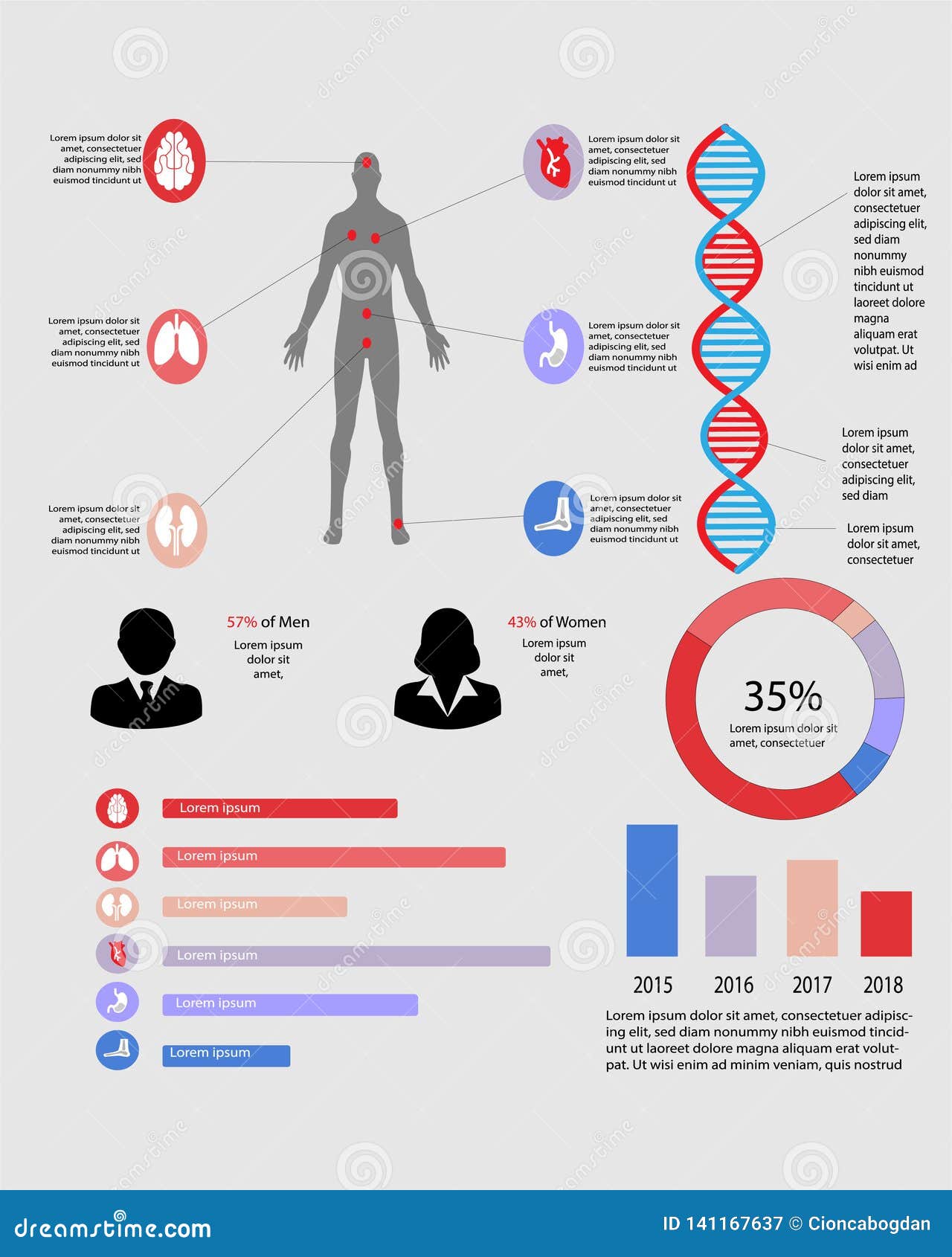 Medical Infographic Containing Diagrams for Multiple Organs Stock ...