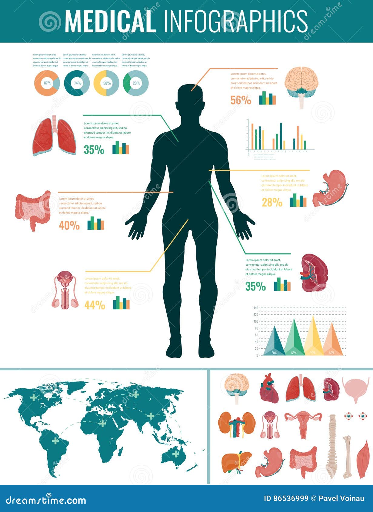 Medical Infographic Set with Charts and Other Elements. Vector ...