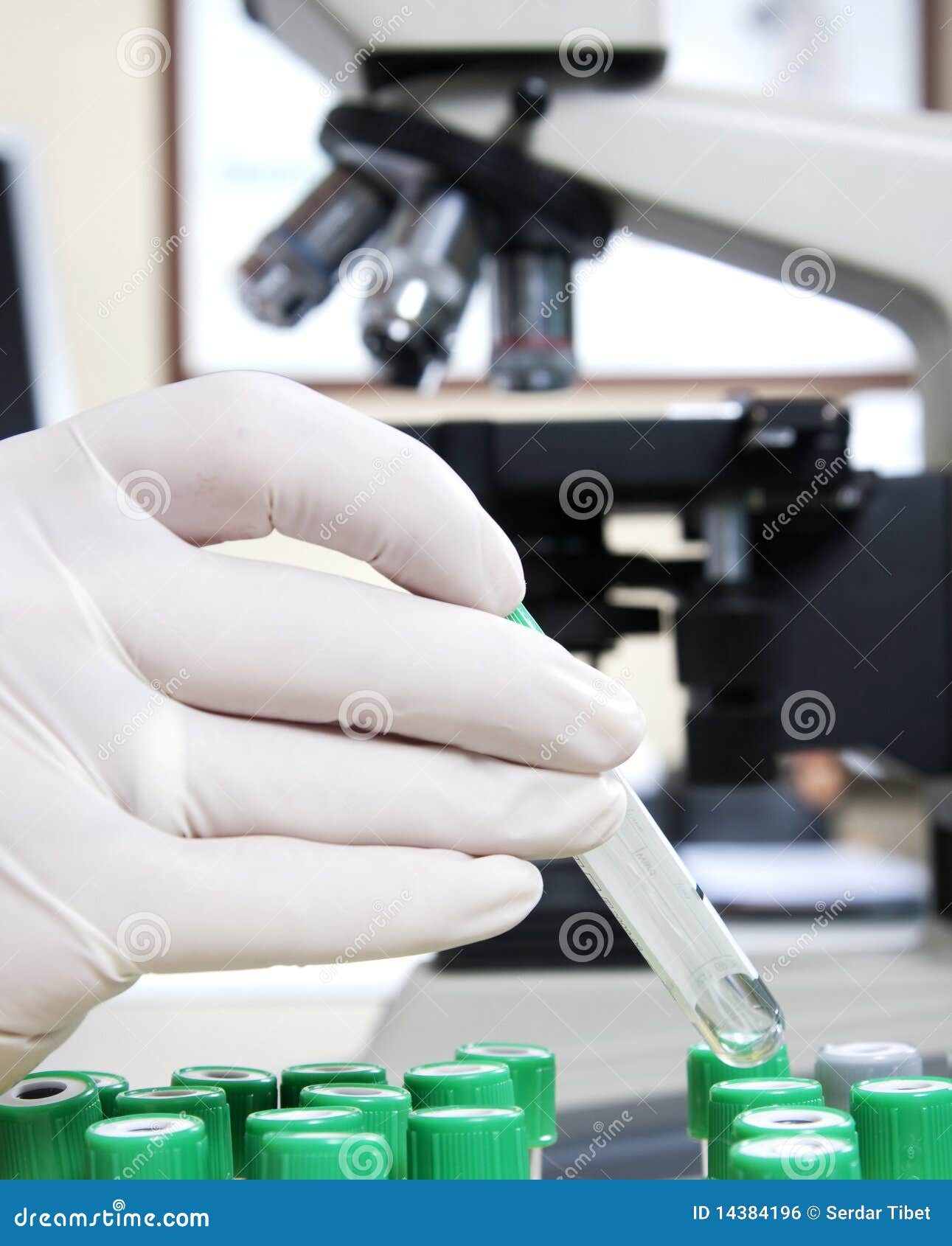 Medical laboratory stock photo. Image of medic, microscope - 14384196