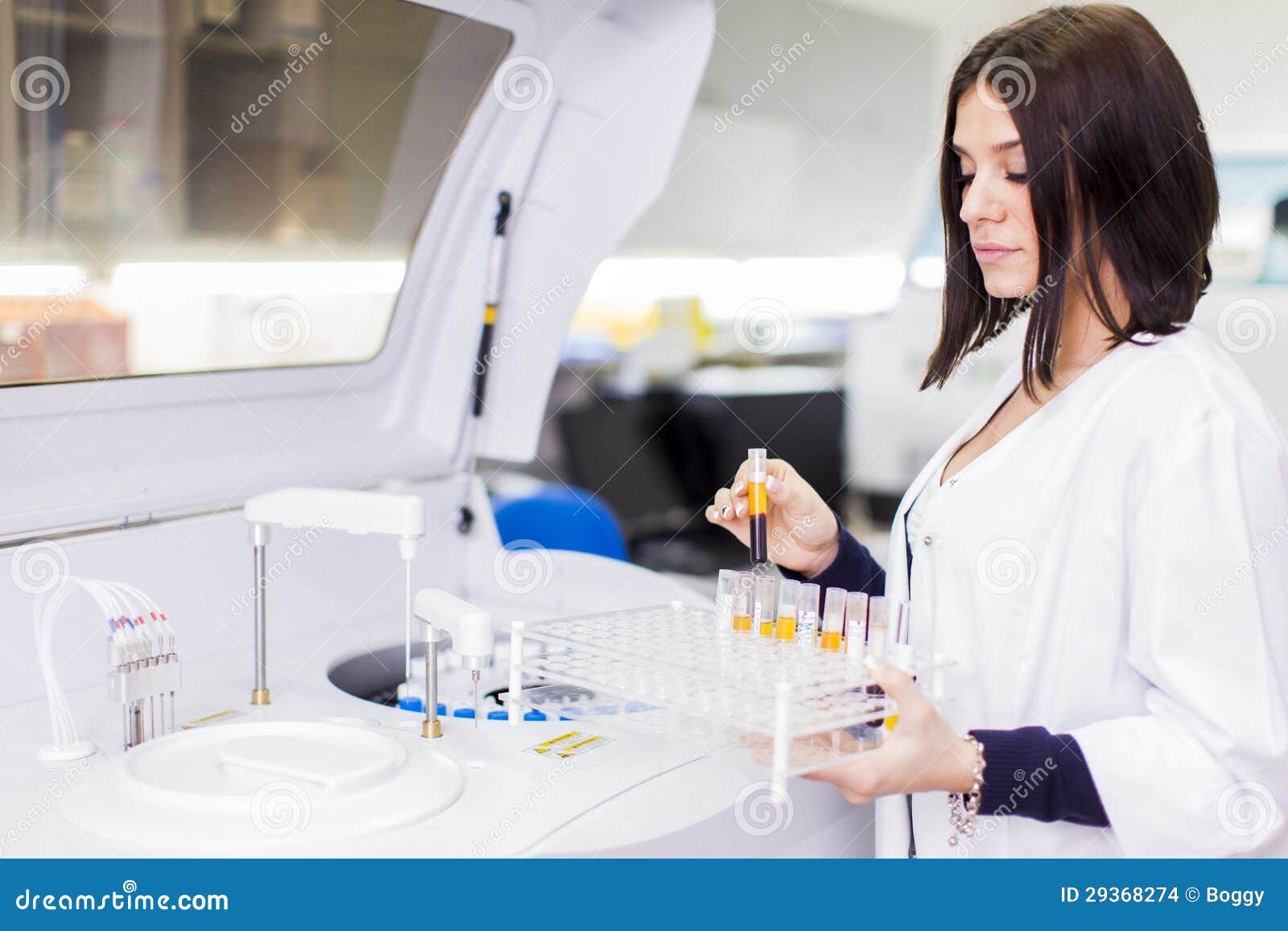 Medical laboratory stock photo. Image of medicine, body - 29368274