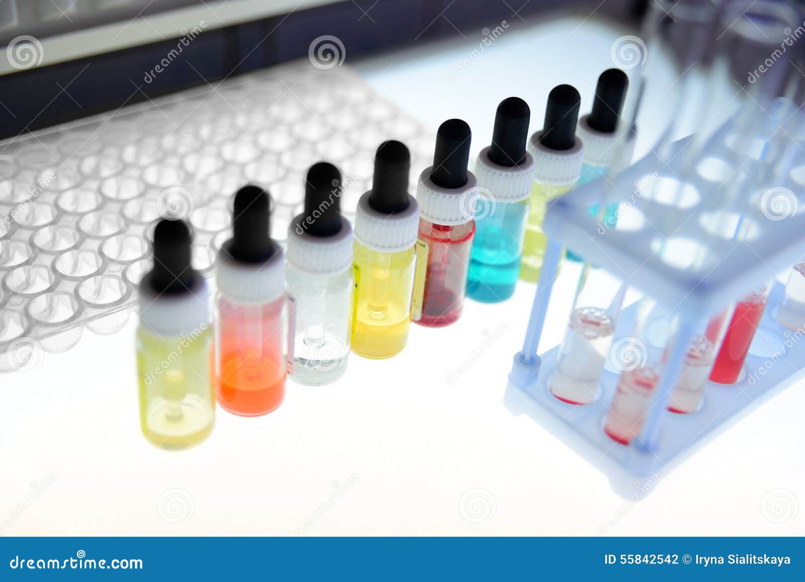 In the Medical Laboratory. Set of Tubes and Stock Photo - Image of ...