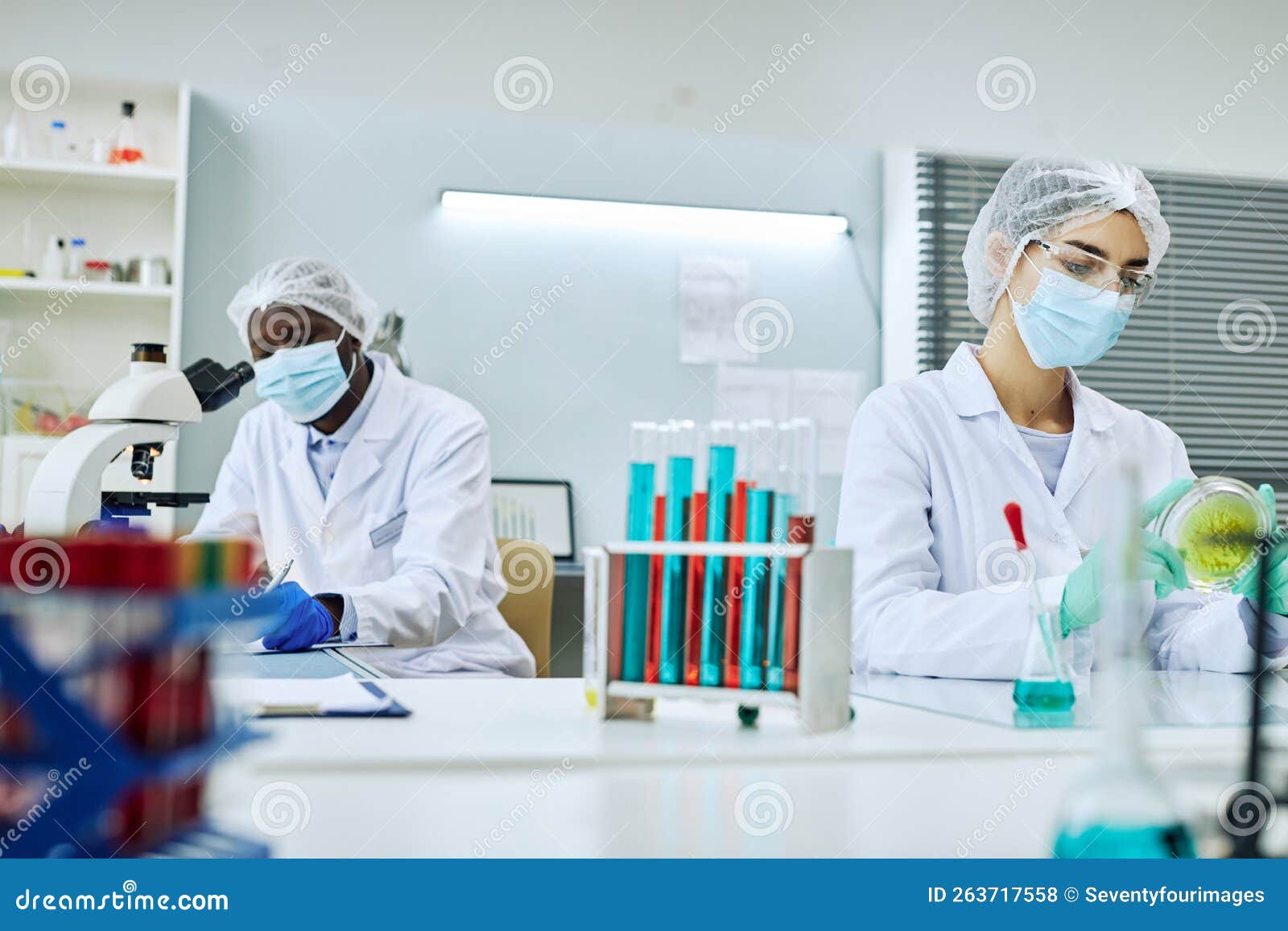 Medical laboratory stock photo. Image of vaccine, worker - 263717558