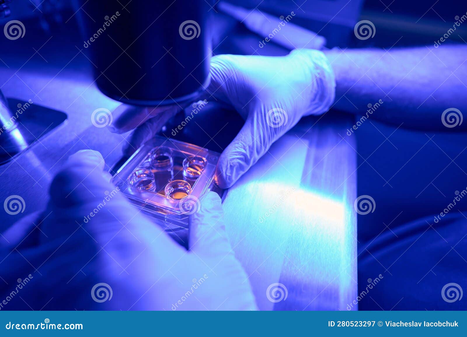 Medical Laboratory Worker Directing the Objective Lens of Microscope ...
