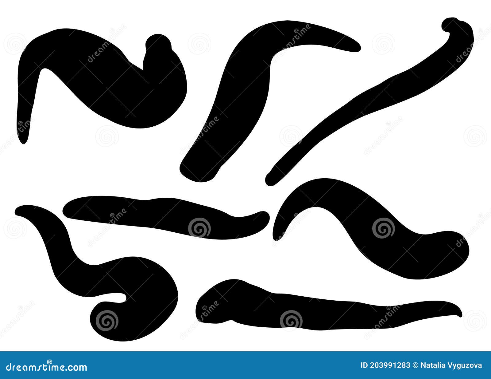 Medical Leeches for Procedures in a Set Stock Vector - Illustration of ...