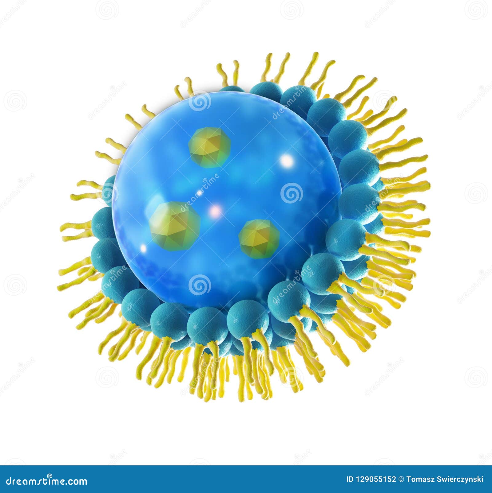 Liposome Structure Cell 3D Rendering Stock Illustration - Illustration ...