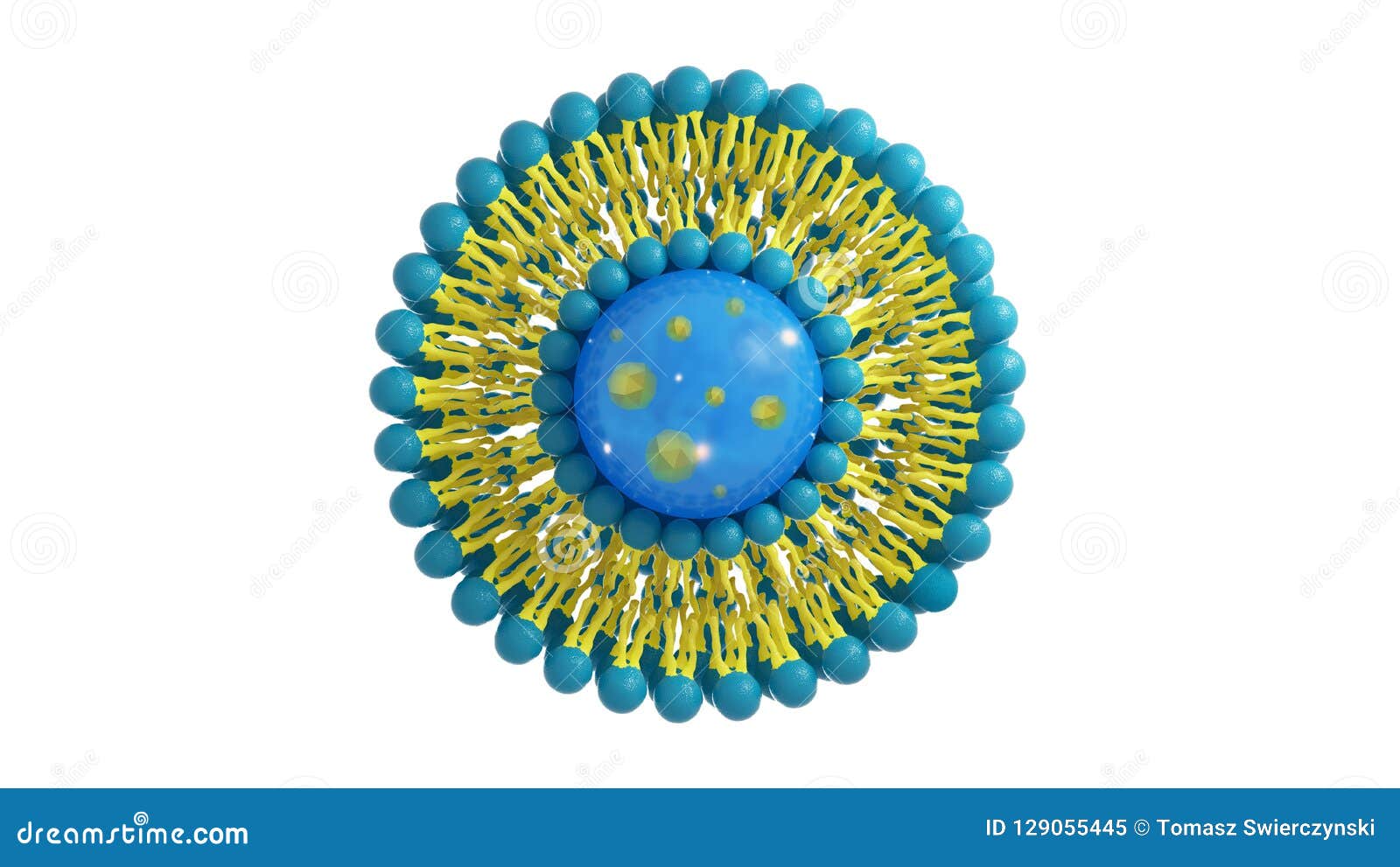 Liposome Structure Cell 3D Rendering Stock Illustration - Illustration ...