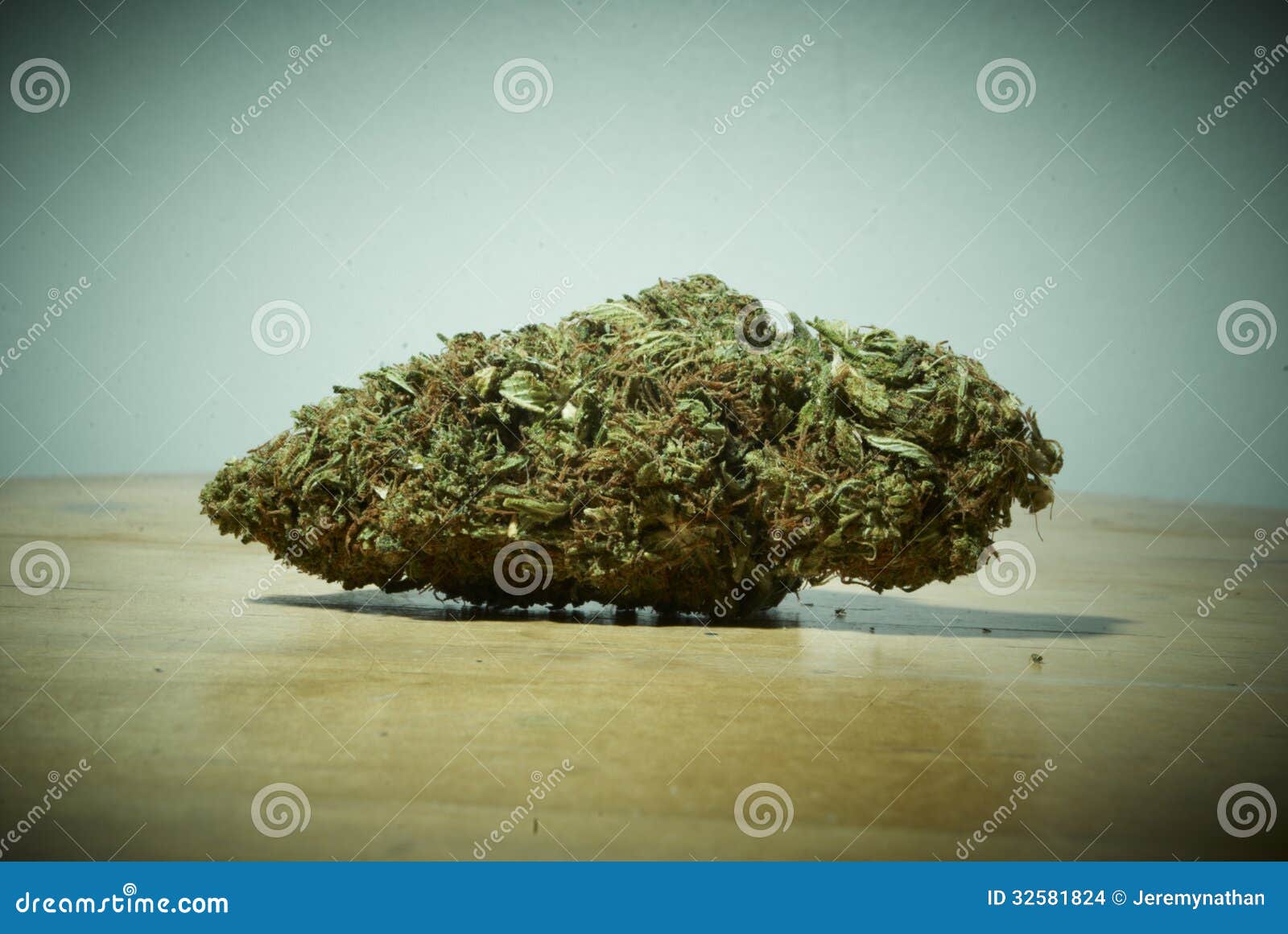 Medical Marijuana RX stock photo. Image of indica, abstract - 32581824