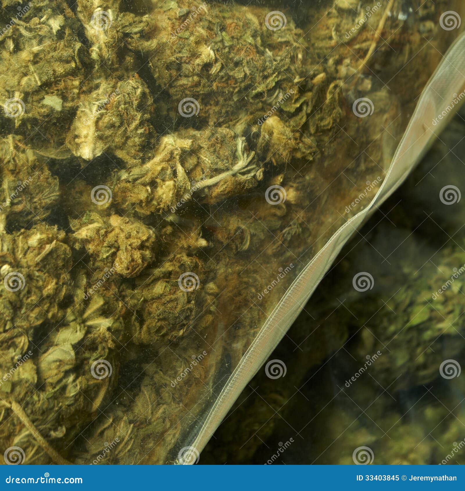 Medical Marijuana RX stock image. Image of abstract, alternative - 33403845