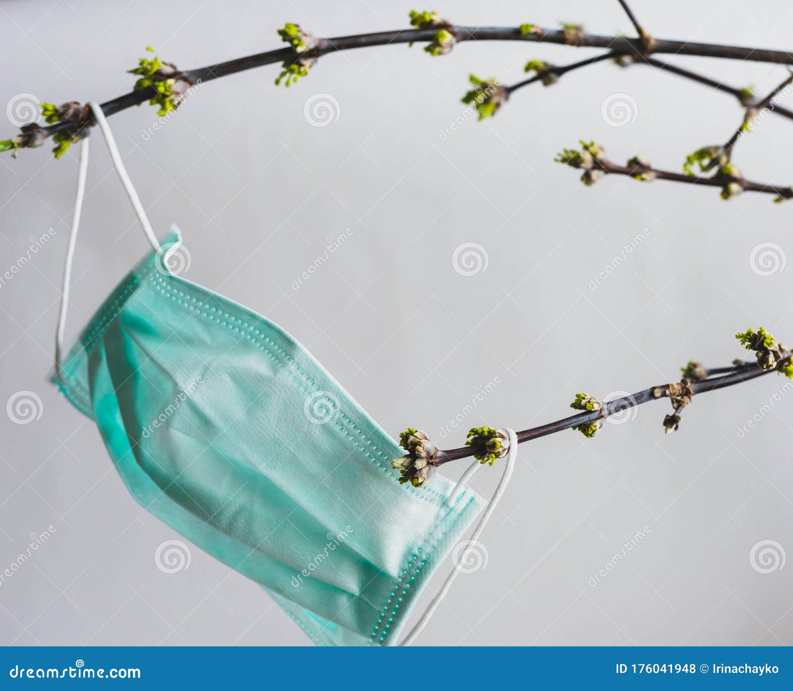 Medical Mask on a Branch with Spring Leaves on a White Background ...