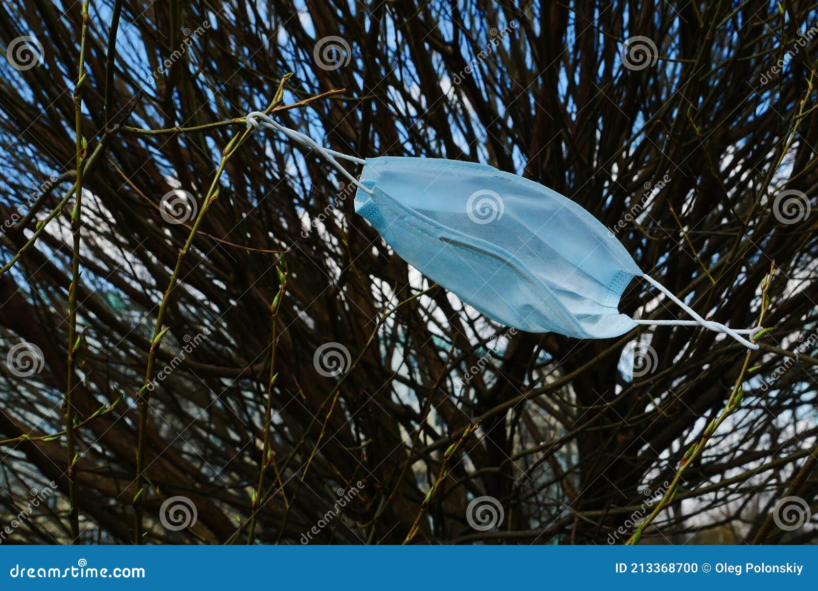 Blue Medical Mask Hanging on the Branches of a Bush. Stock Photo ...