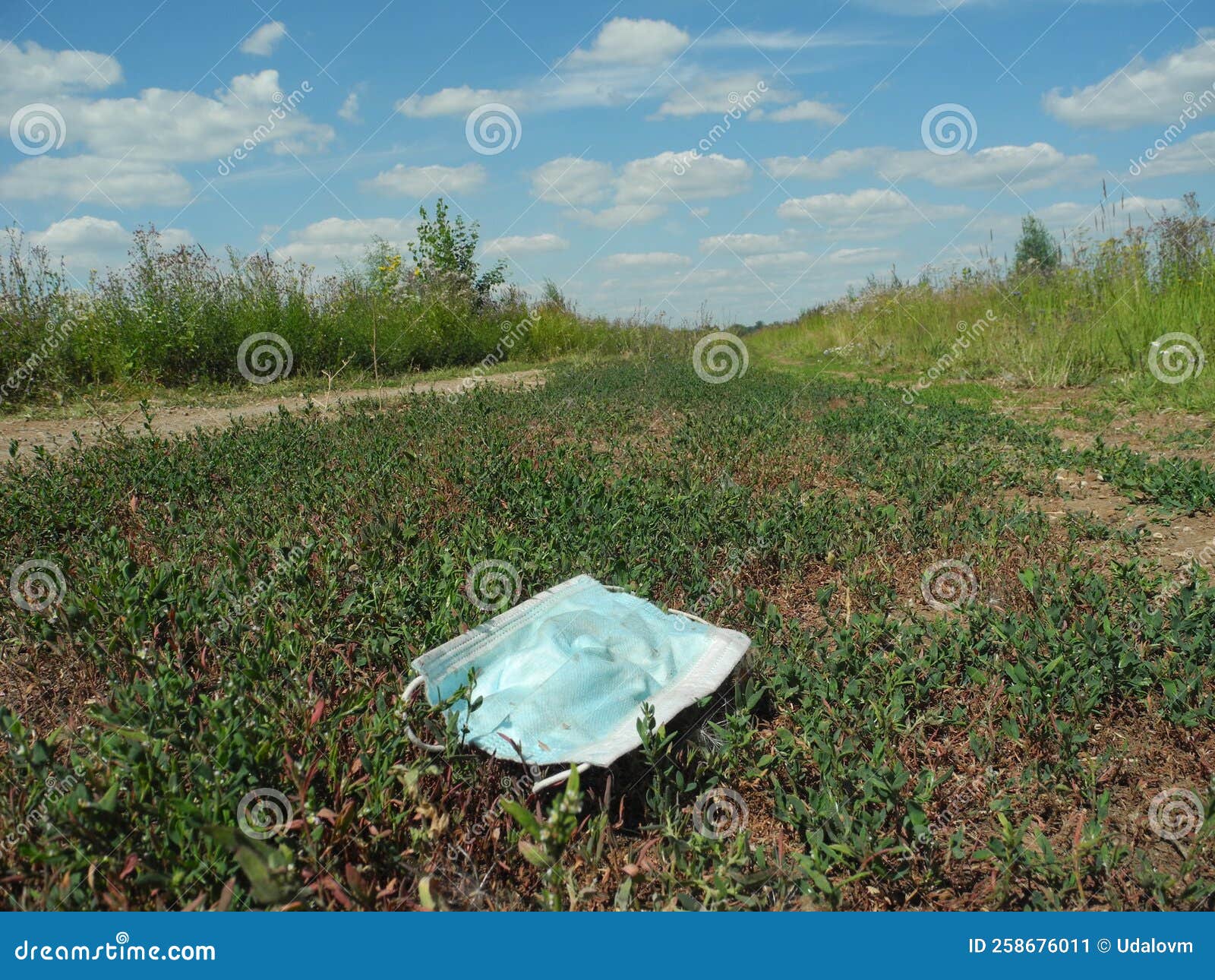 A Medical Mask Lying on the Trail, Discarded Personal Protective ...