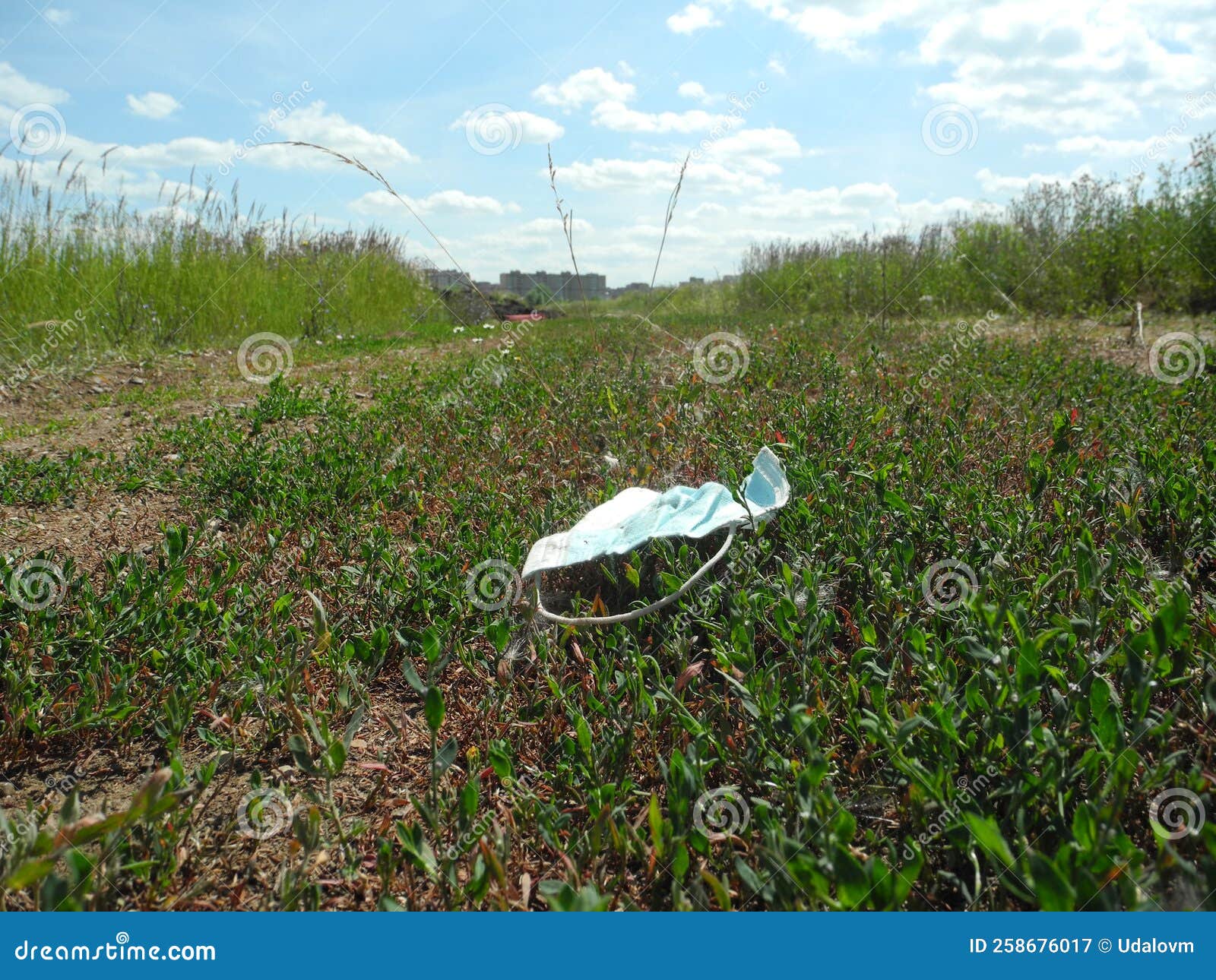 A Medical Mask Lying on the Trail, Discarded Personal Protective ...