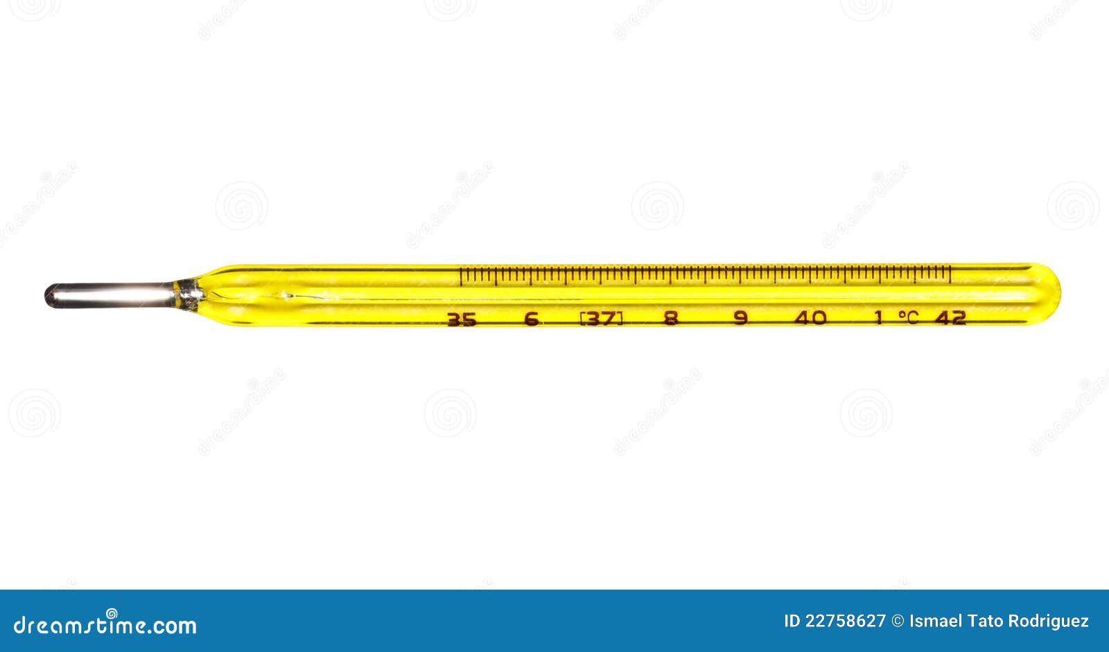 Medical Mercury Thermometer Celsius Showing High Body Temperature In
