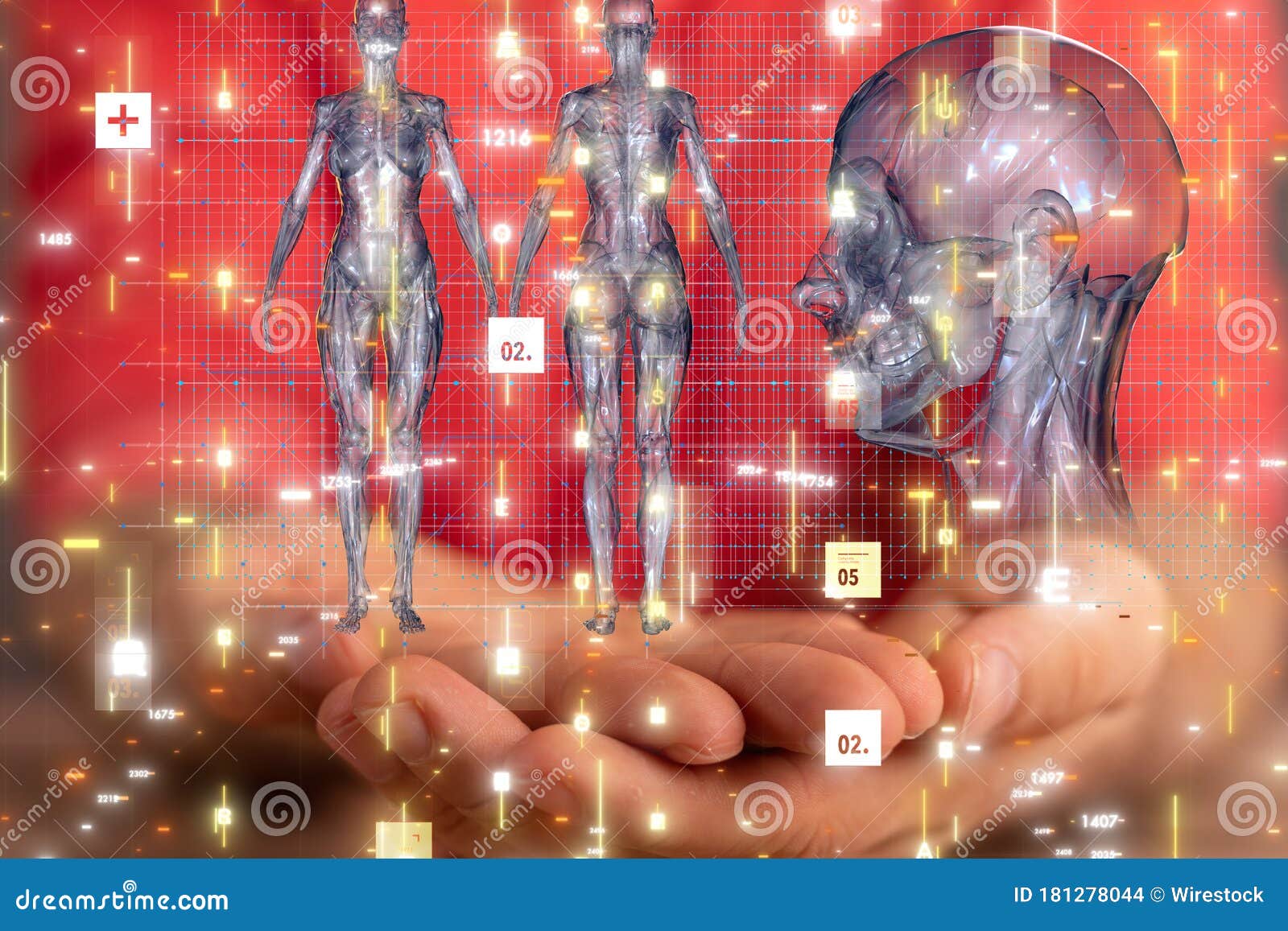 A Medical Network Connection with Modern Virtual Screen, Medical ...