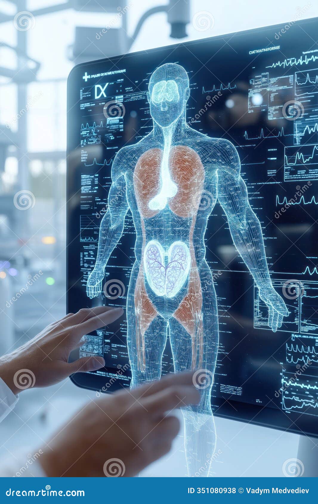 Medical Pro Interacts with Interactive Digital Human Anatomy Display ...