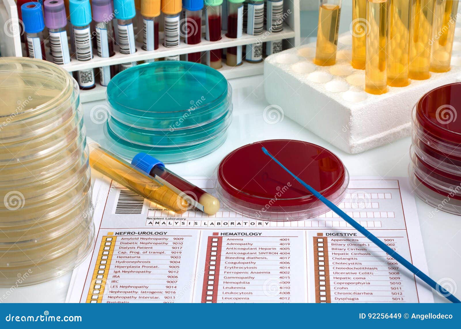 Medical Report and Biological Samples on the Workbench in the an Stock ...