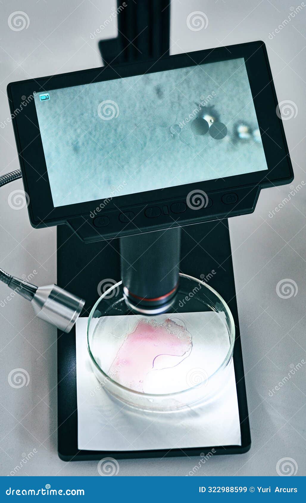 Medical Research, Biotechnology and Digital Microscope in Laboratory ...