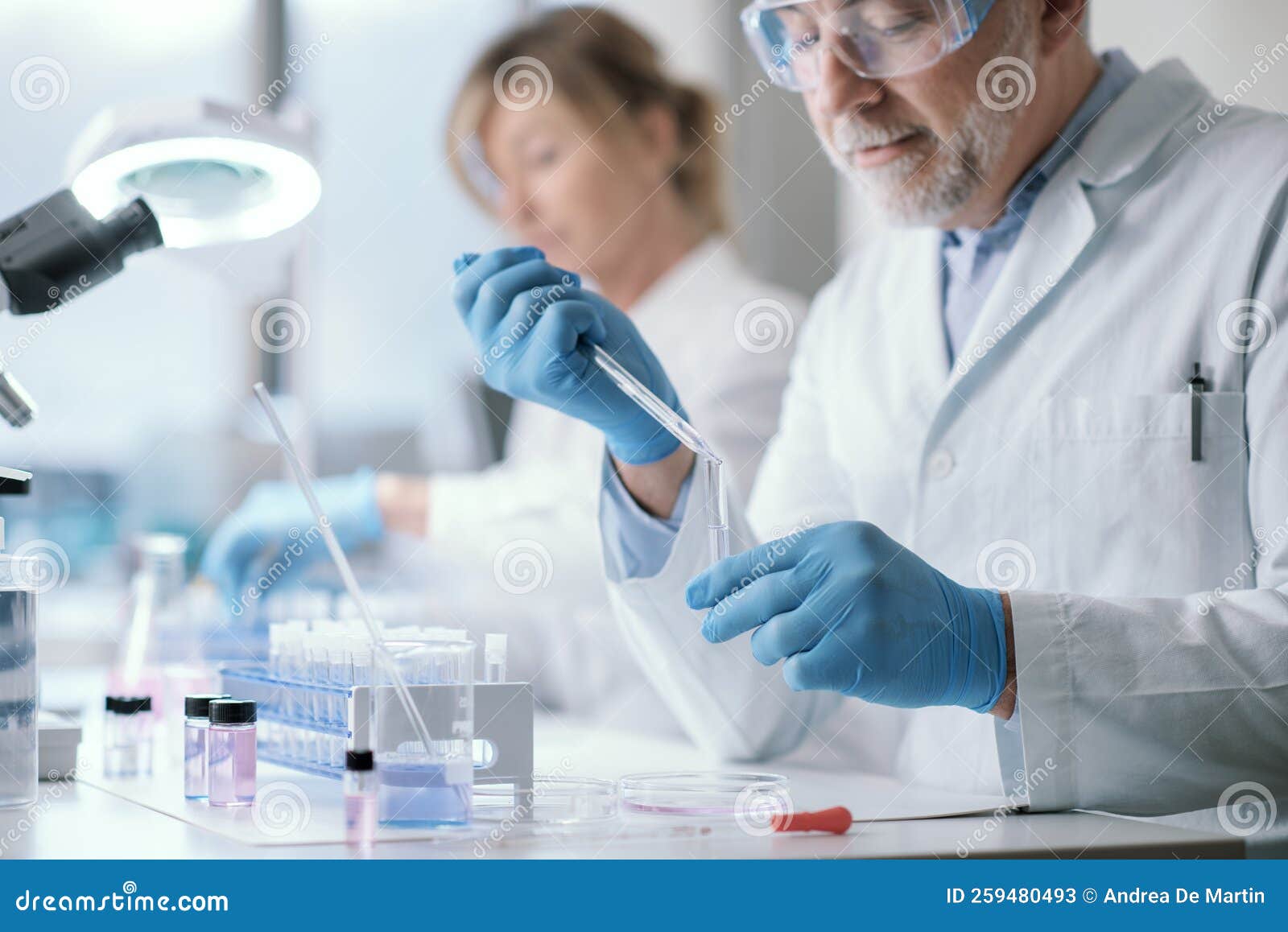 Medical Researcher Working in the Laboratory Stock Image - Image of ...