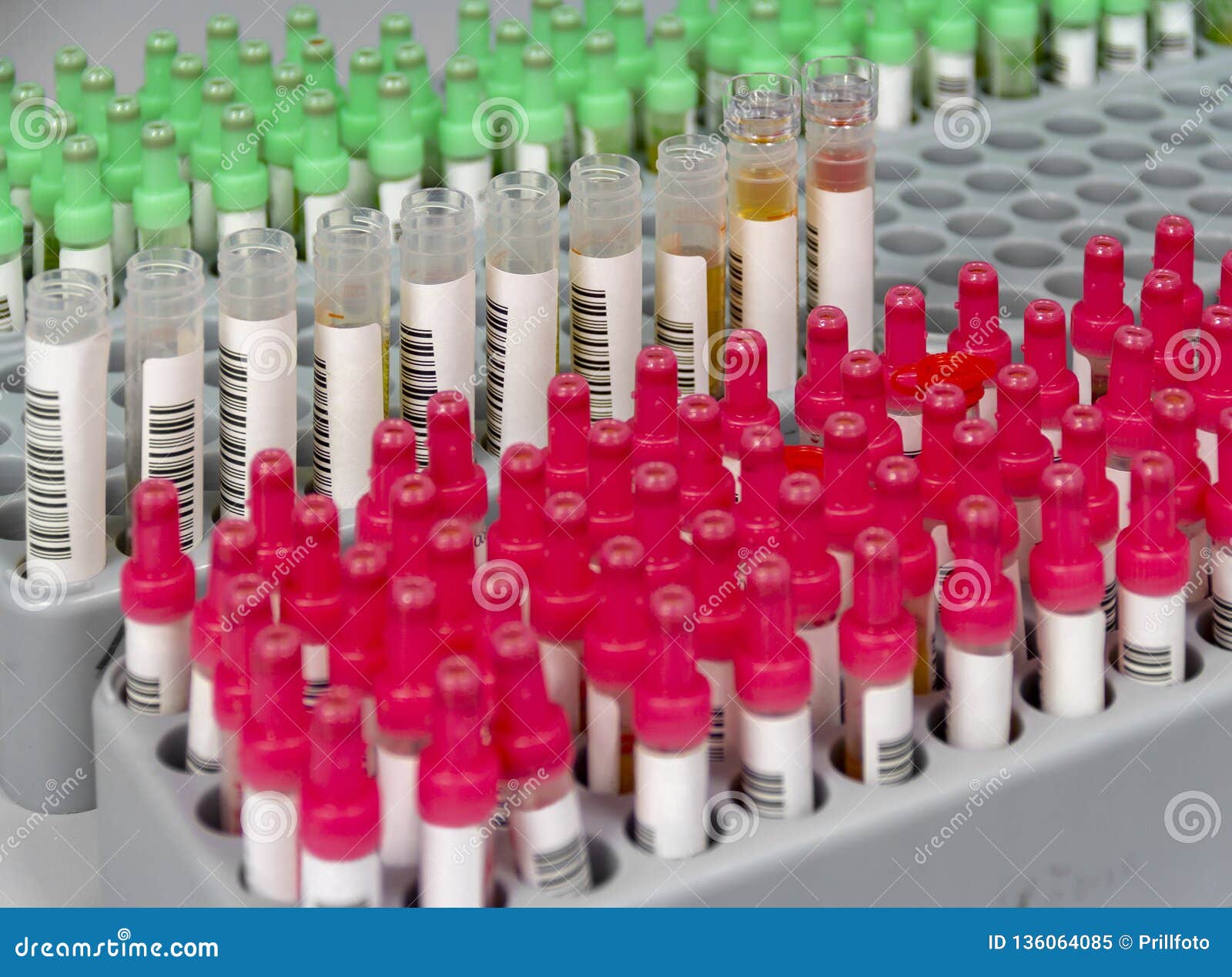 Medical sample racks stock image. Image of equipment - 136064085