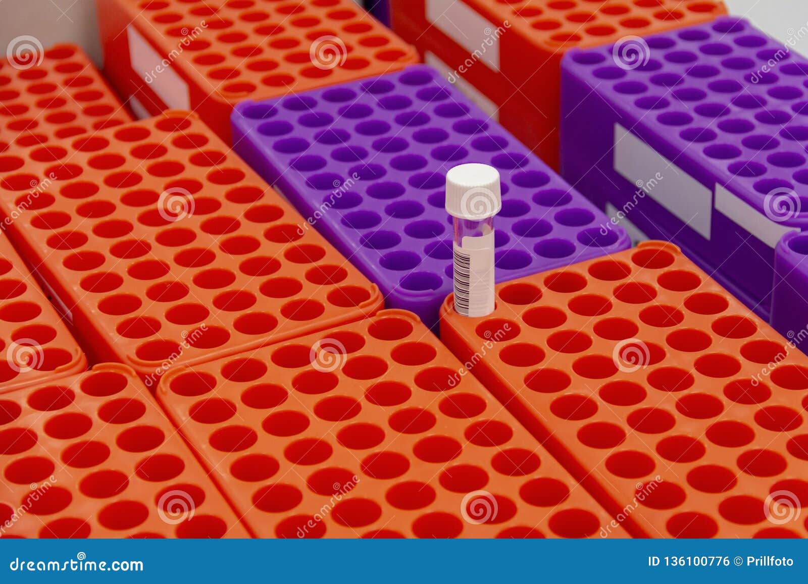 Medical sample racks stock photo. Image of closeup, medical - 136100776