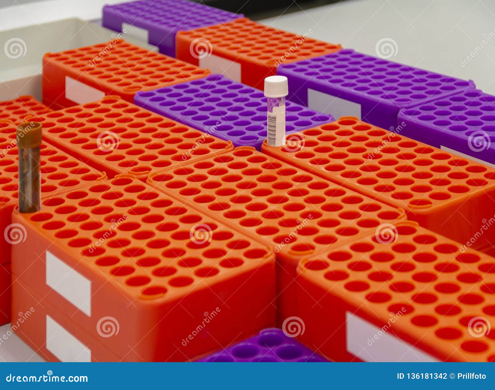 Medical sample racks stock photo. Image of laboratory - 136181342