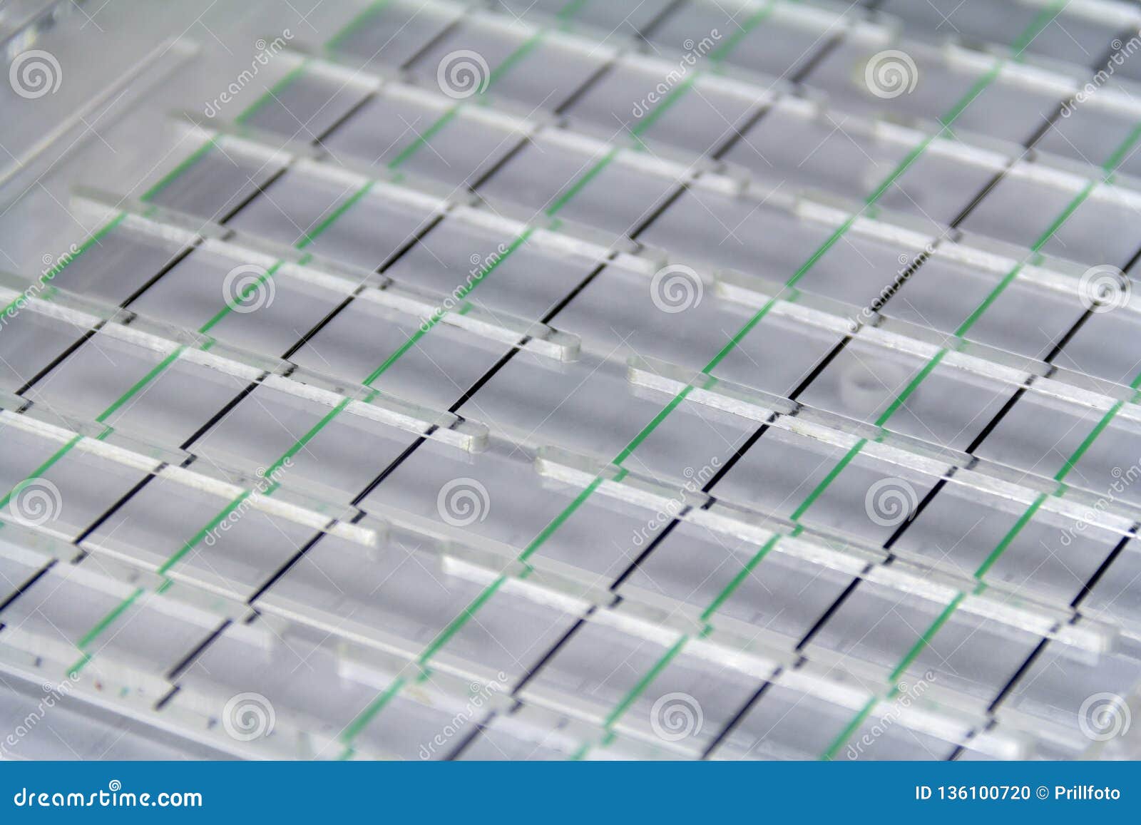Medical sample racks stock photo. Image of research - 136100720