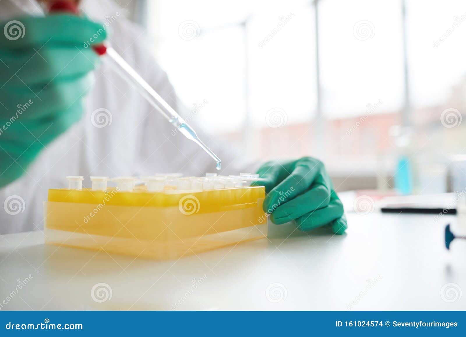 Medical Samples stock photo. Image of microbiology, analyzing - 161024574