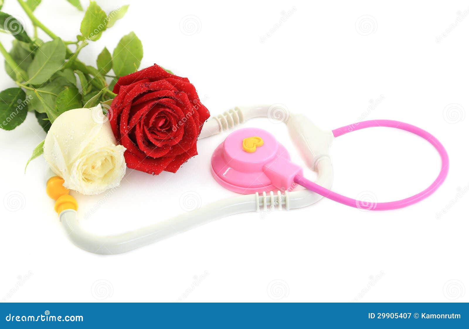 Medical Stethoscope with Rose Stock Image - Image of diagnose, healthy ...
