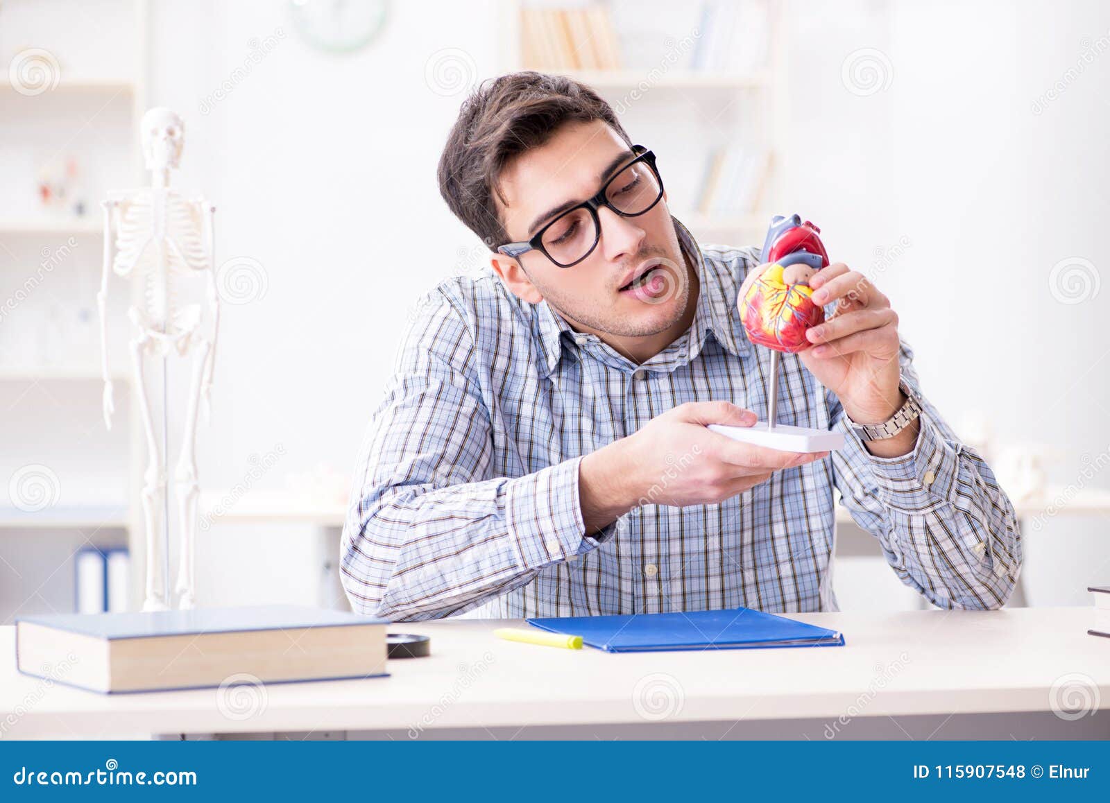The Medical Student Studing the Heart Stock Photo - Image of education ...