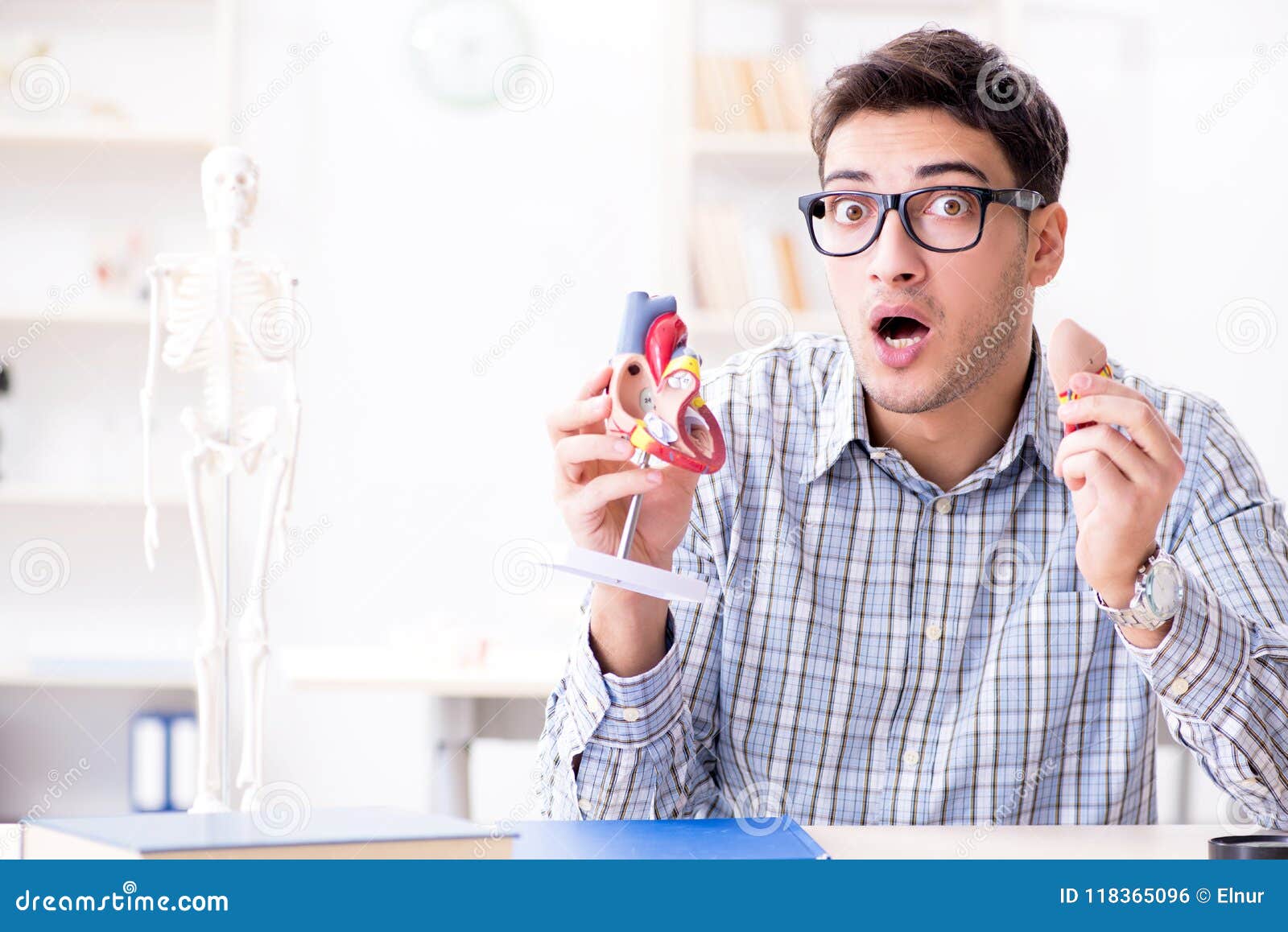 The Medical Student Studing the Heart Stock Photo - Image of healthcare ...