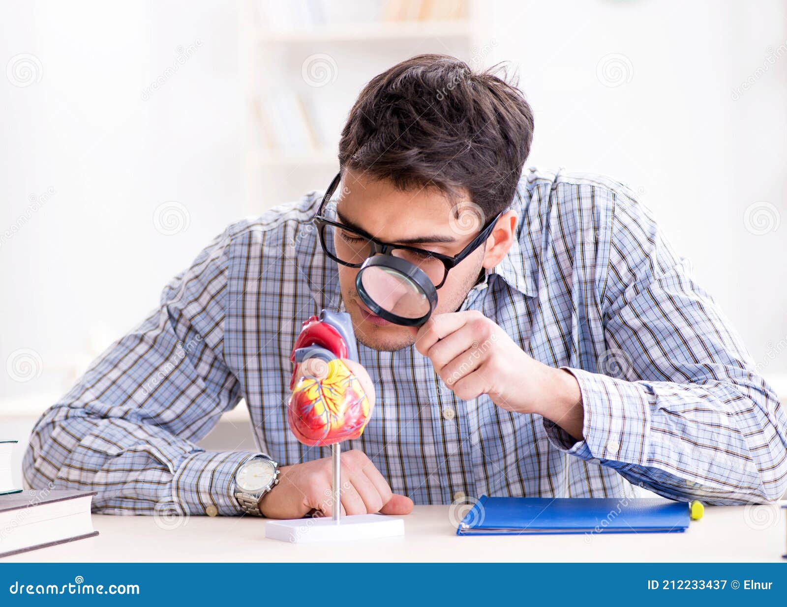 Medical Student Studing the Heart Stock Image - Image of healthcare ...