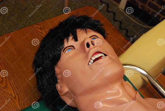 Medical Students Dummy Simulation Stock Image - Image of lung, isolated ...