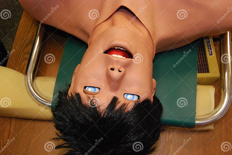 Medical Students Dummy Simulation Stock Photo - Image of lifeguard ...