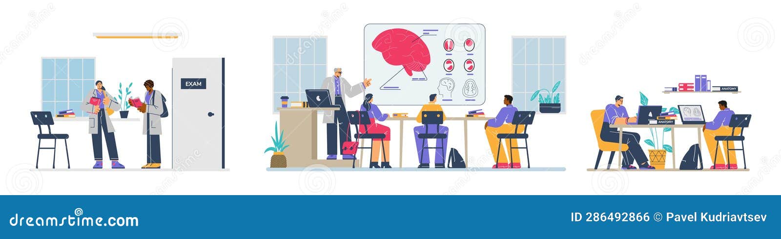 Medical Students Study at University and at Seminars, Flat Vector ...