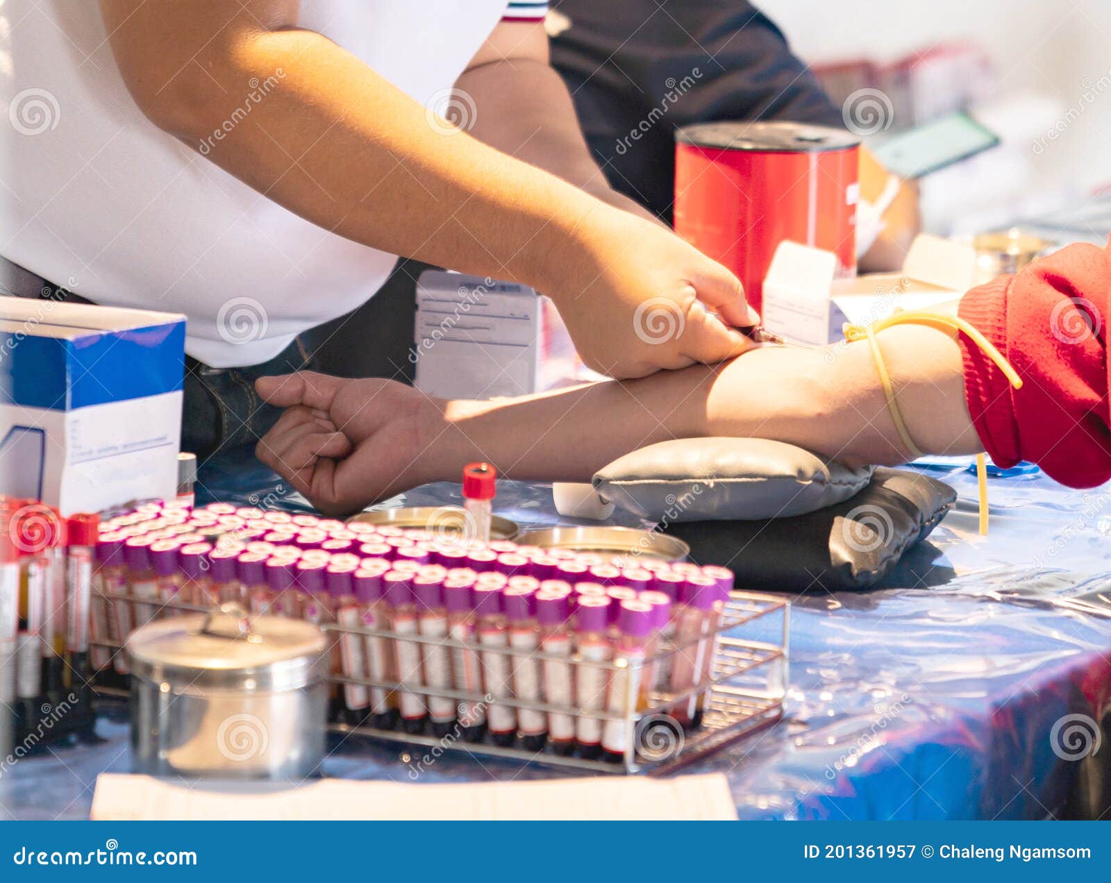 A Medical Technician Draws Blood for a Medical Testing Stock Image ...