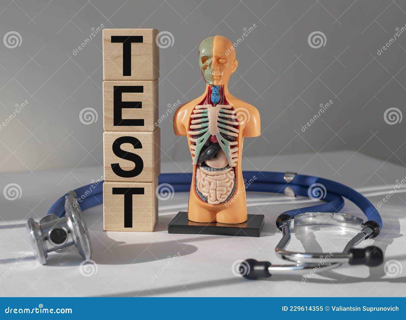 Medical Test Concept. Inner Organs Examination Stock Image - Image of ...