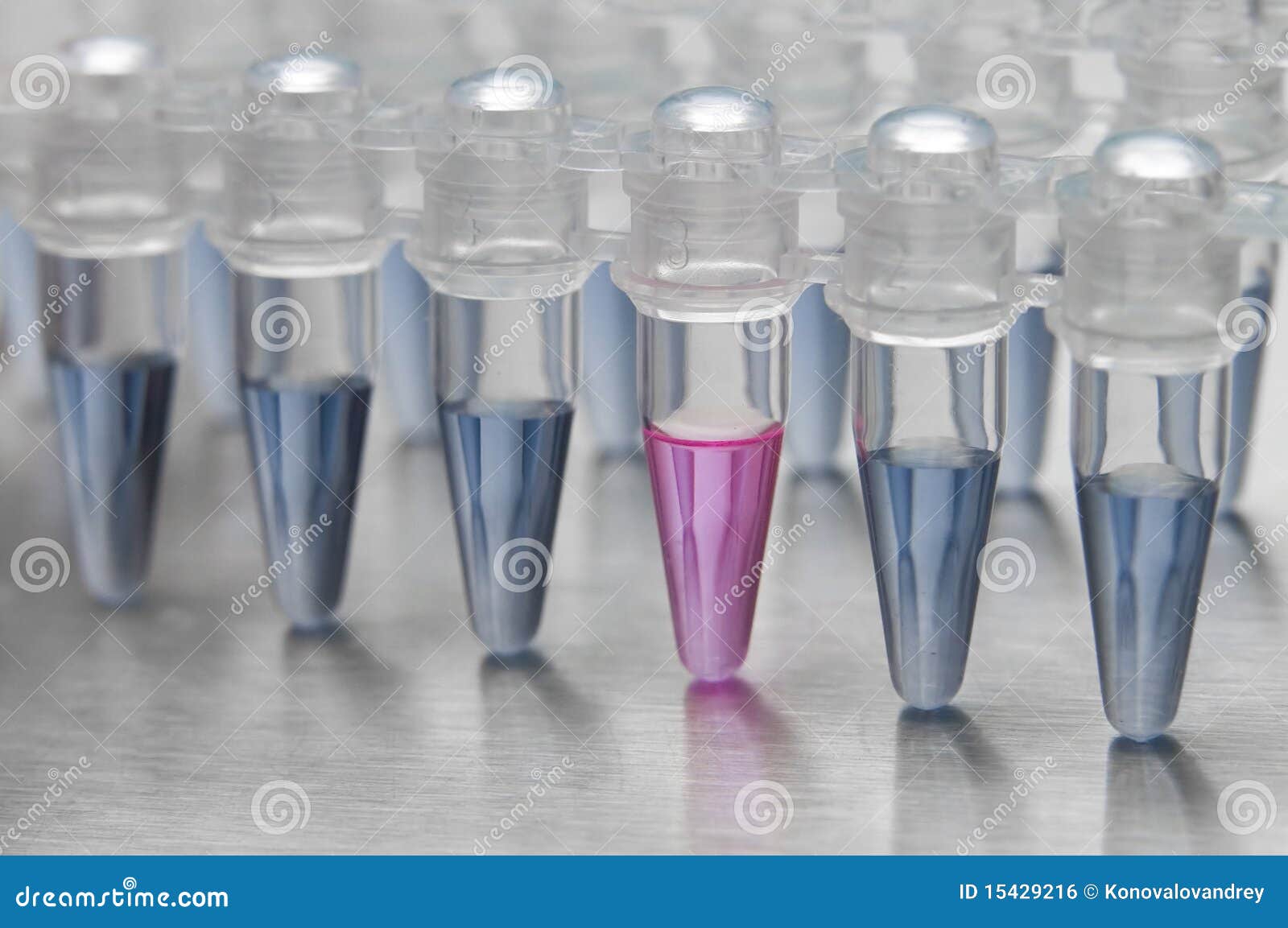 Medical Test Tubes with Liquids Stock Photo - Image of analyzing ...
