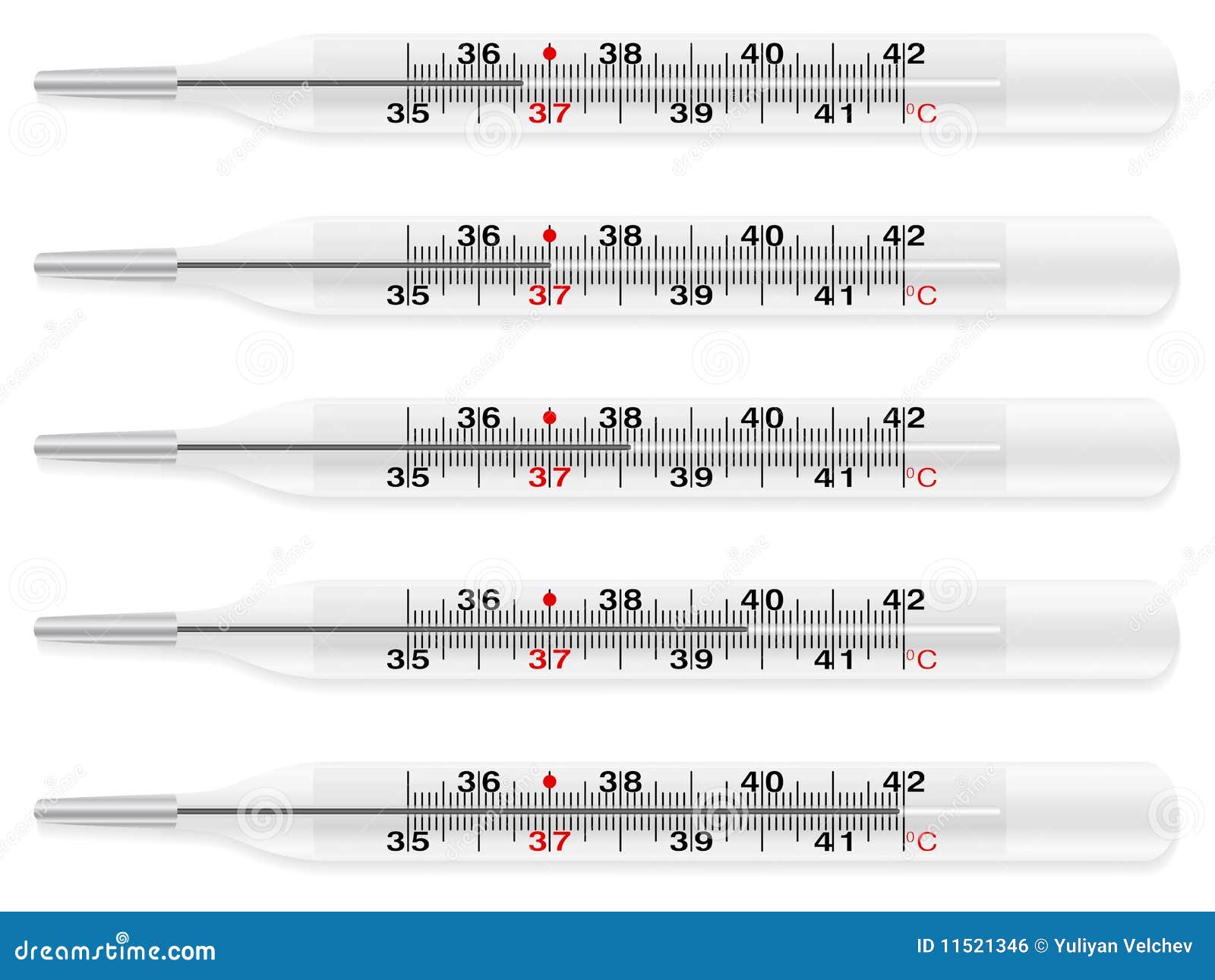 Medical Thermometer Showing Normal Temperature. Medicine And Healthcare ...