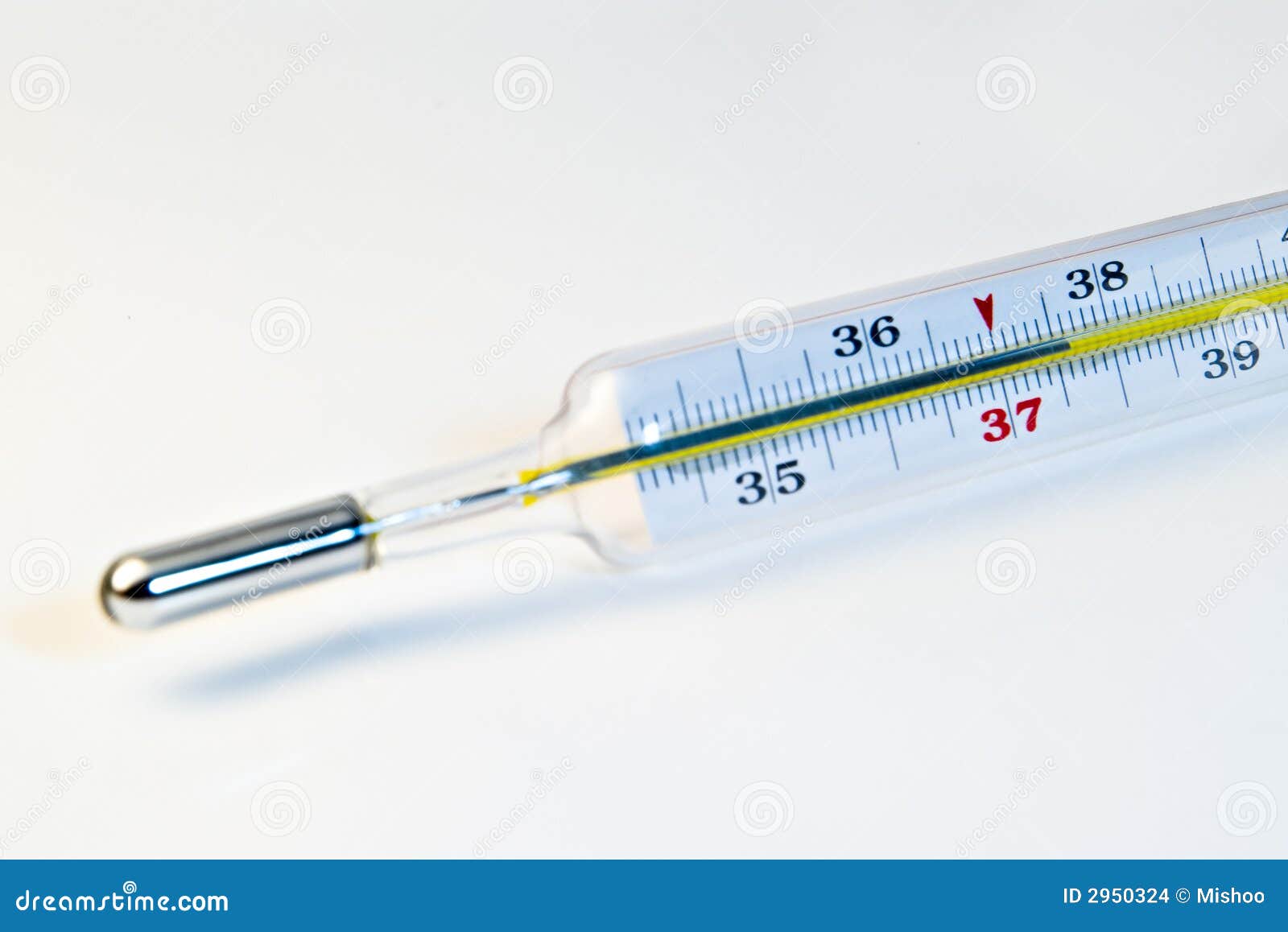 Medical thermometer stock photo. Image of fahrenheit, meter - 2950324