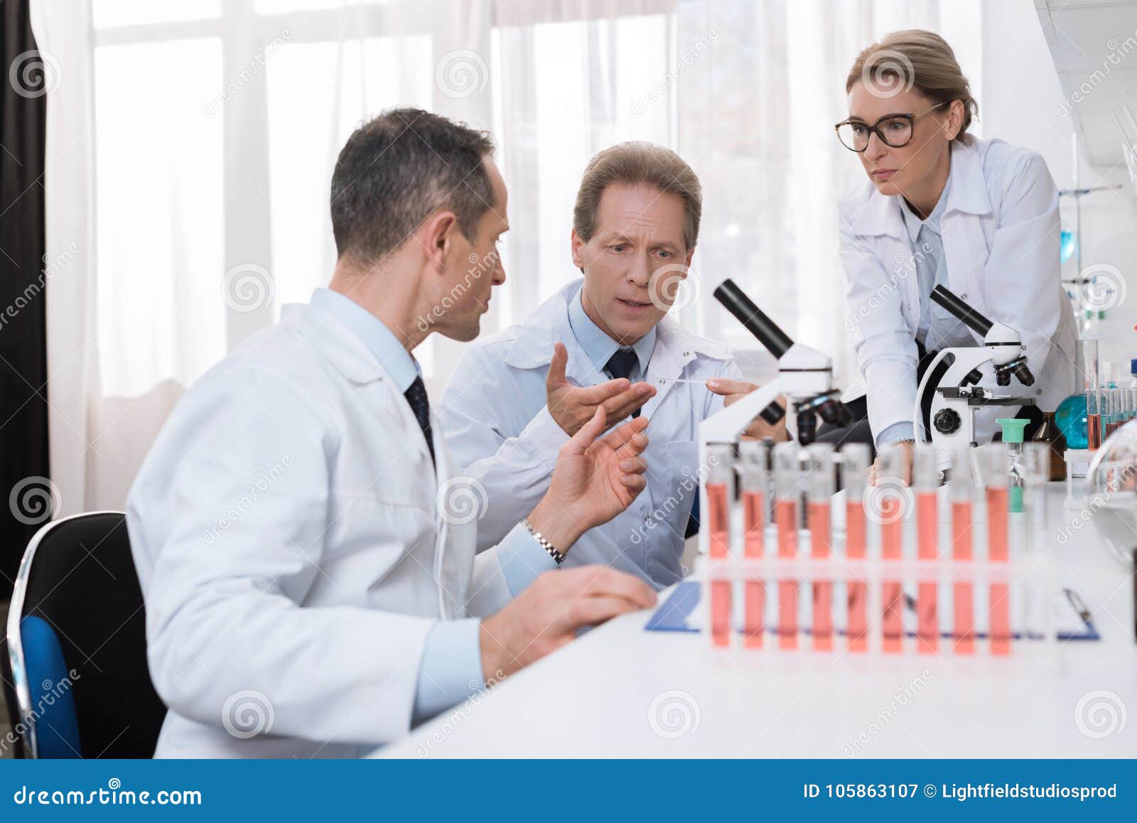 Scientists Examining Sample Stock Image - Image of team, together ...