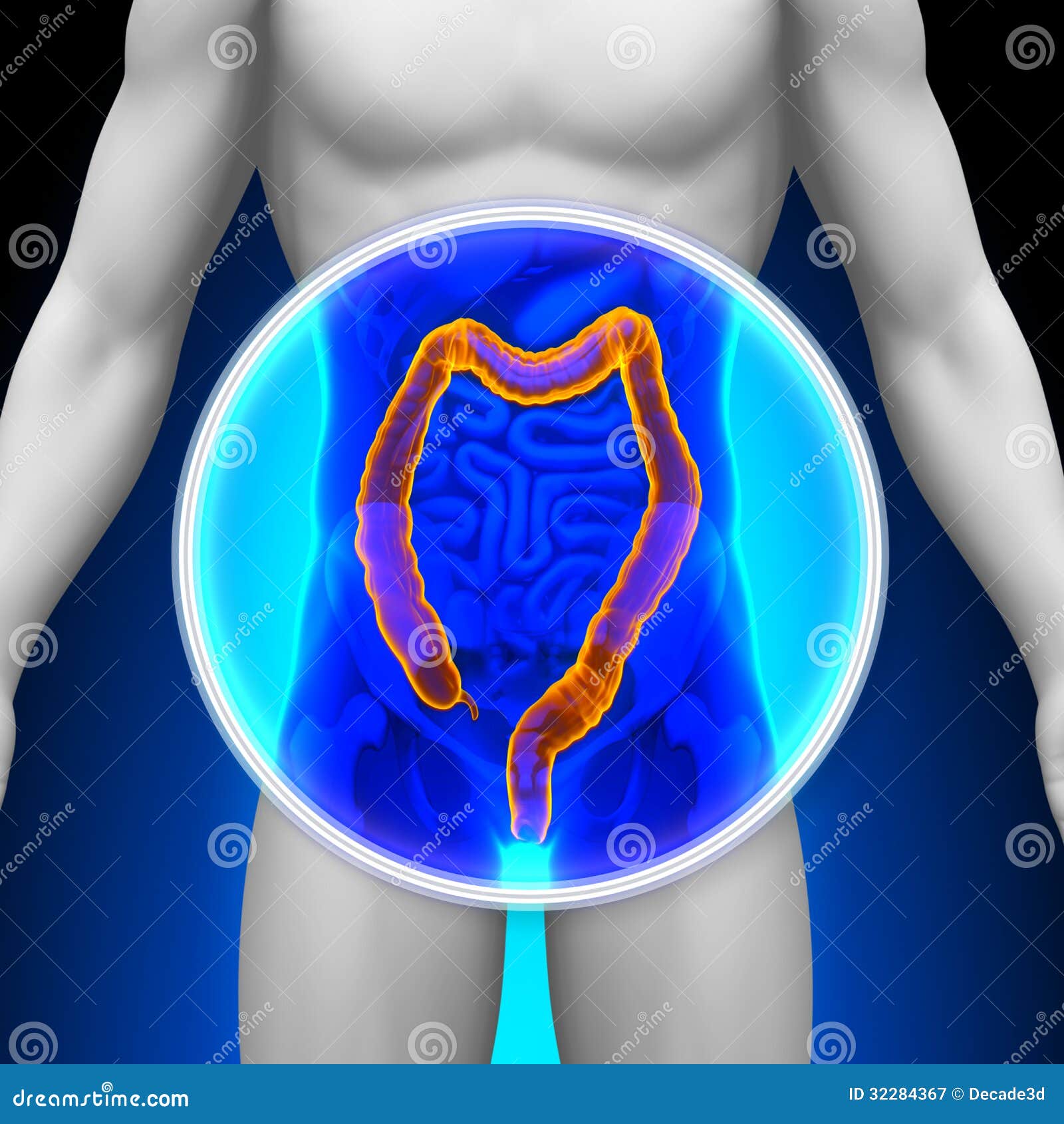 Medical X-Ray Scan - Colon Royalty-Free Stock Photography ...