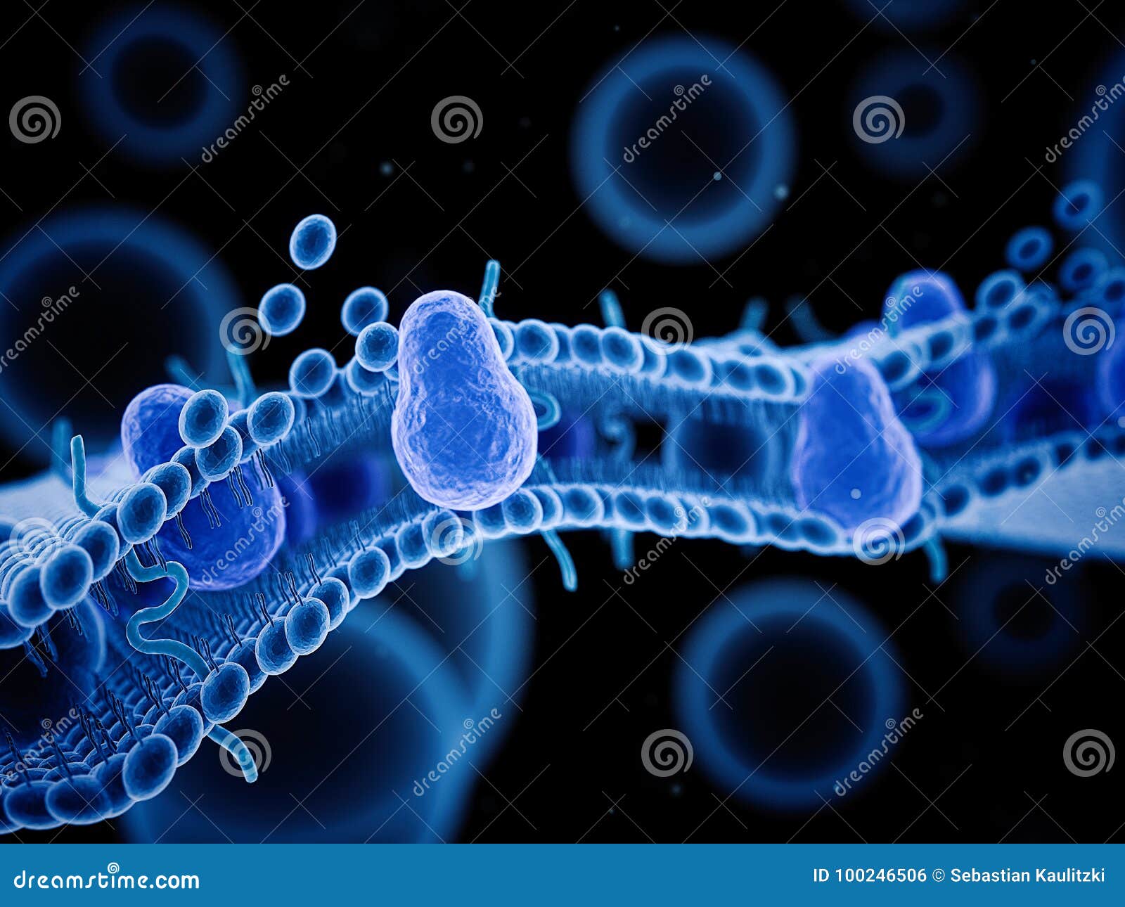 A cell membrane stock illustration. Illustration of cell - 100246506
